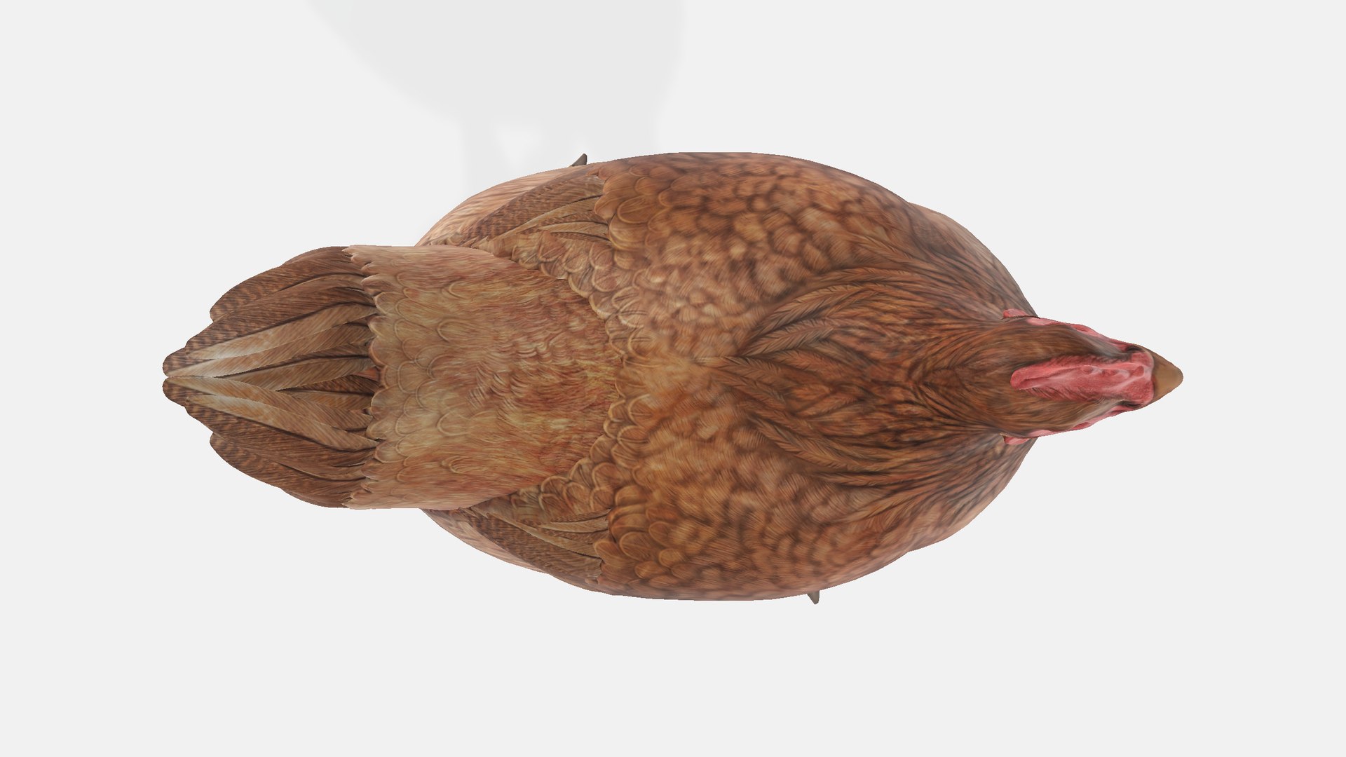 3D Chicken - TurboSquid 2305762