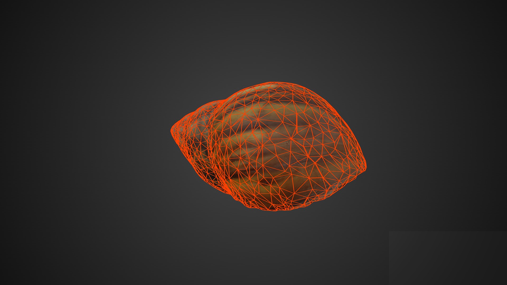 3D Shell - TurboSquid 2025400