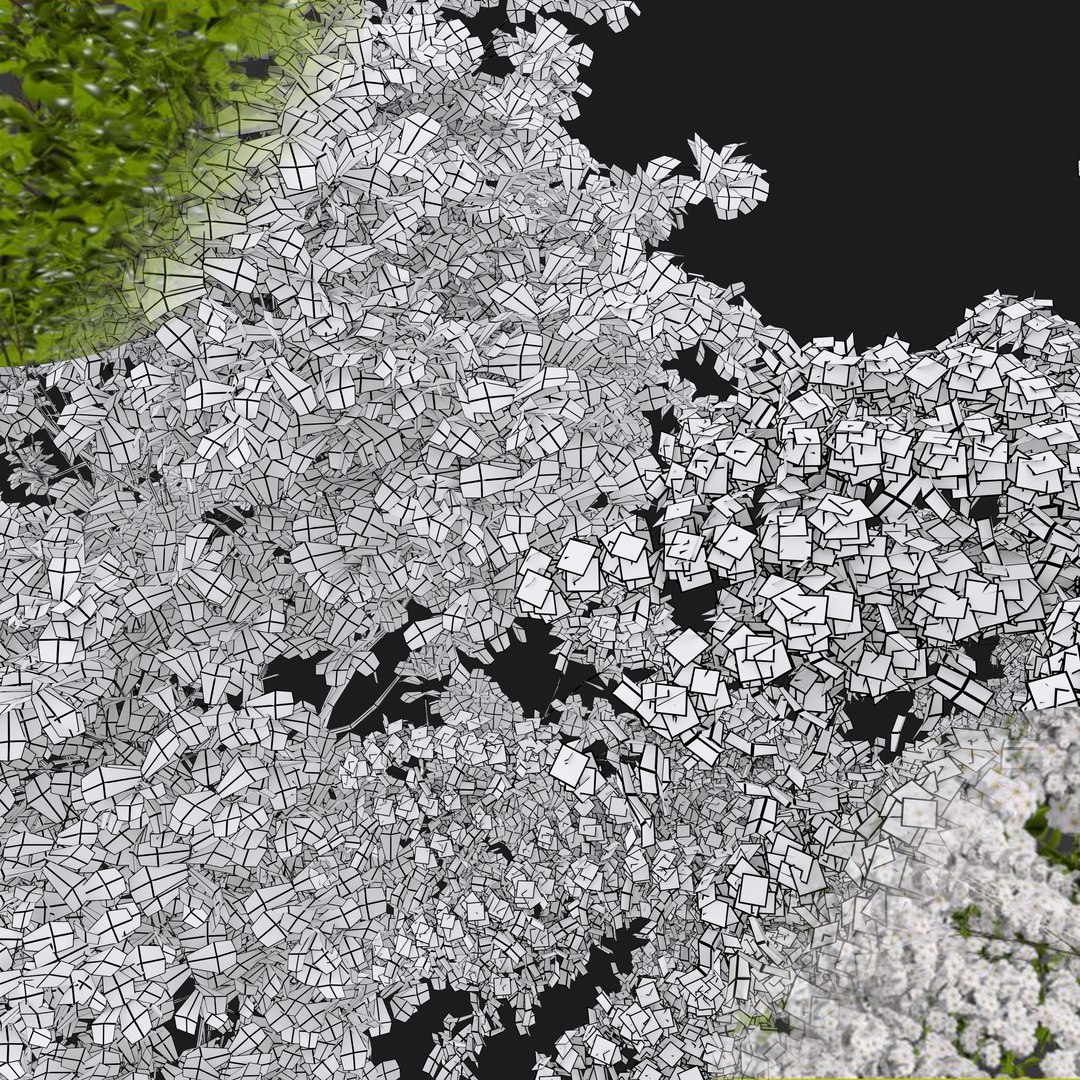 Spirea Bush Set 3D Model - TurboSquid 1943333