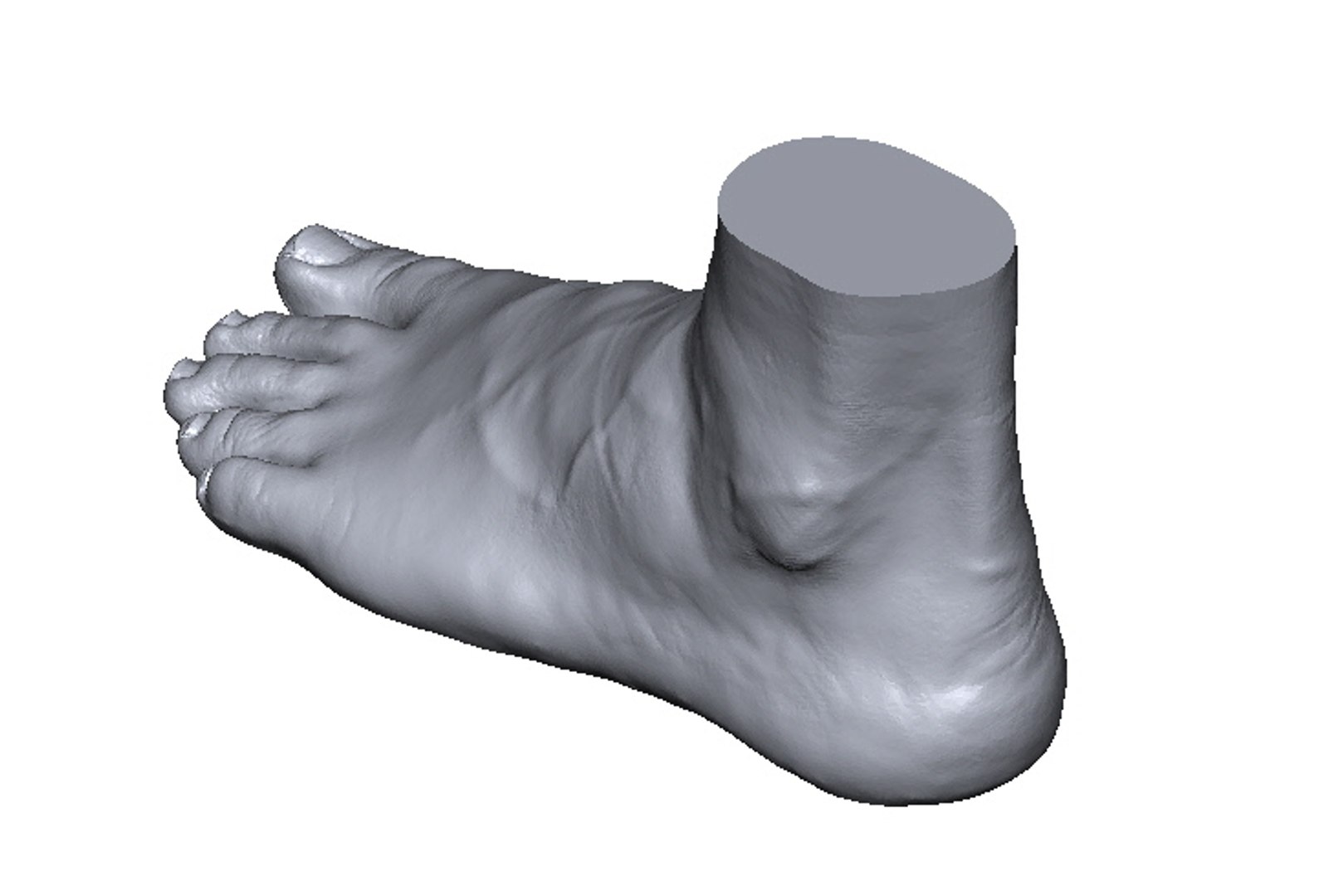 Scan Foot 3D - TurboSquid 1348827