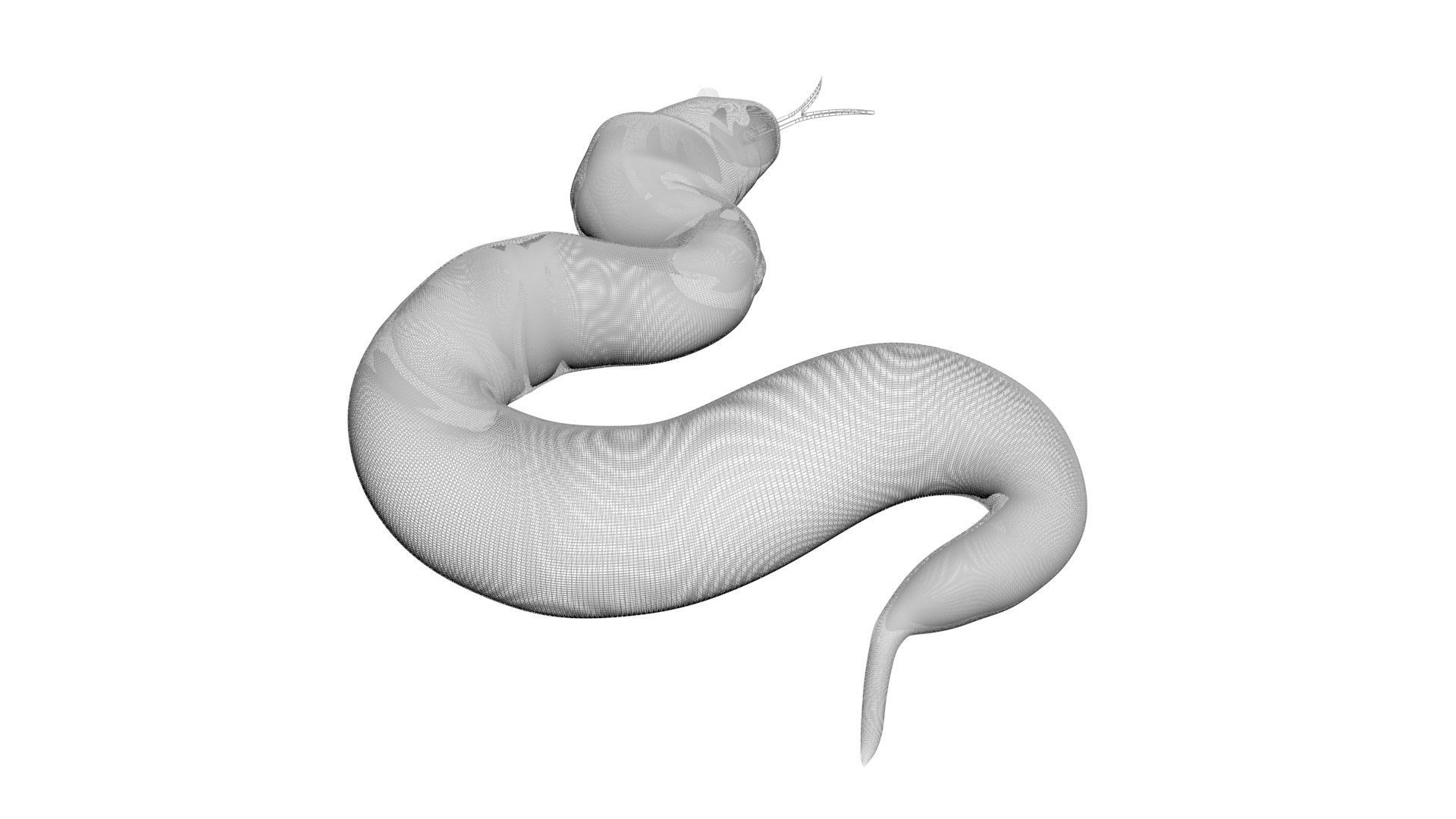 Viper Snake 3D Model - TurboSquid 2245598