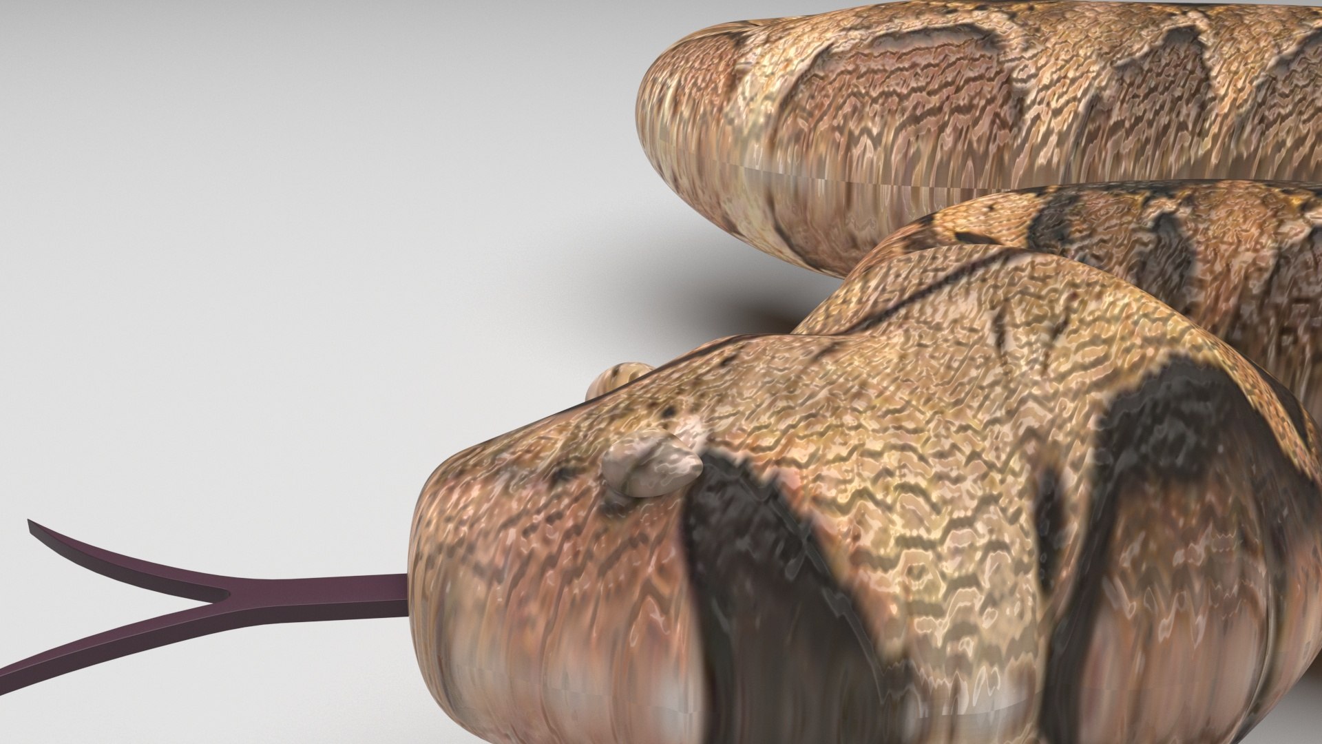 Viper Snake 3D Model - TurboSquid 2245598