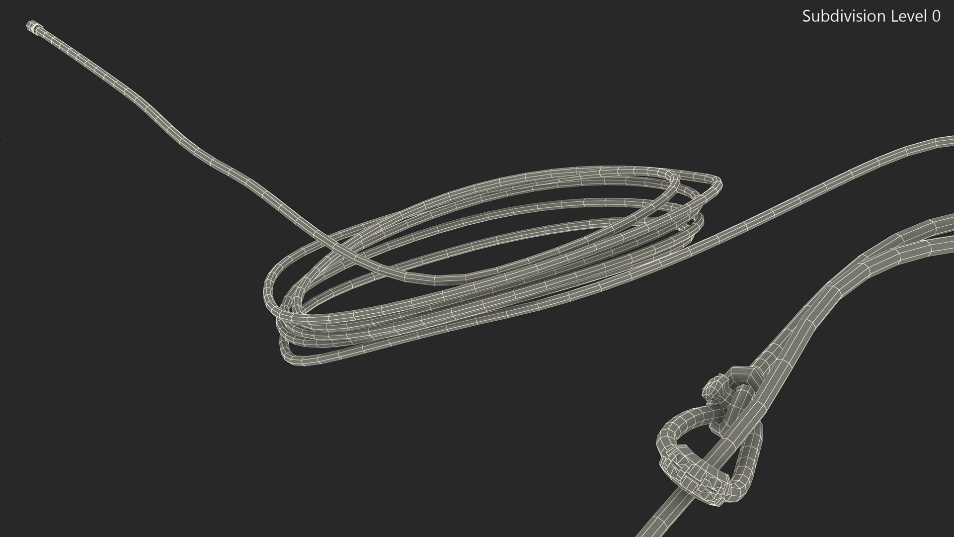 Western Lasso Rope Dynamic Position 3D - TurboSquid 2162341