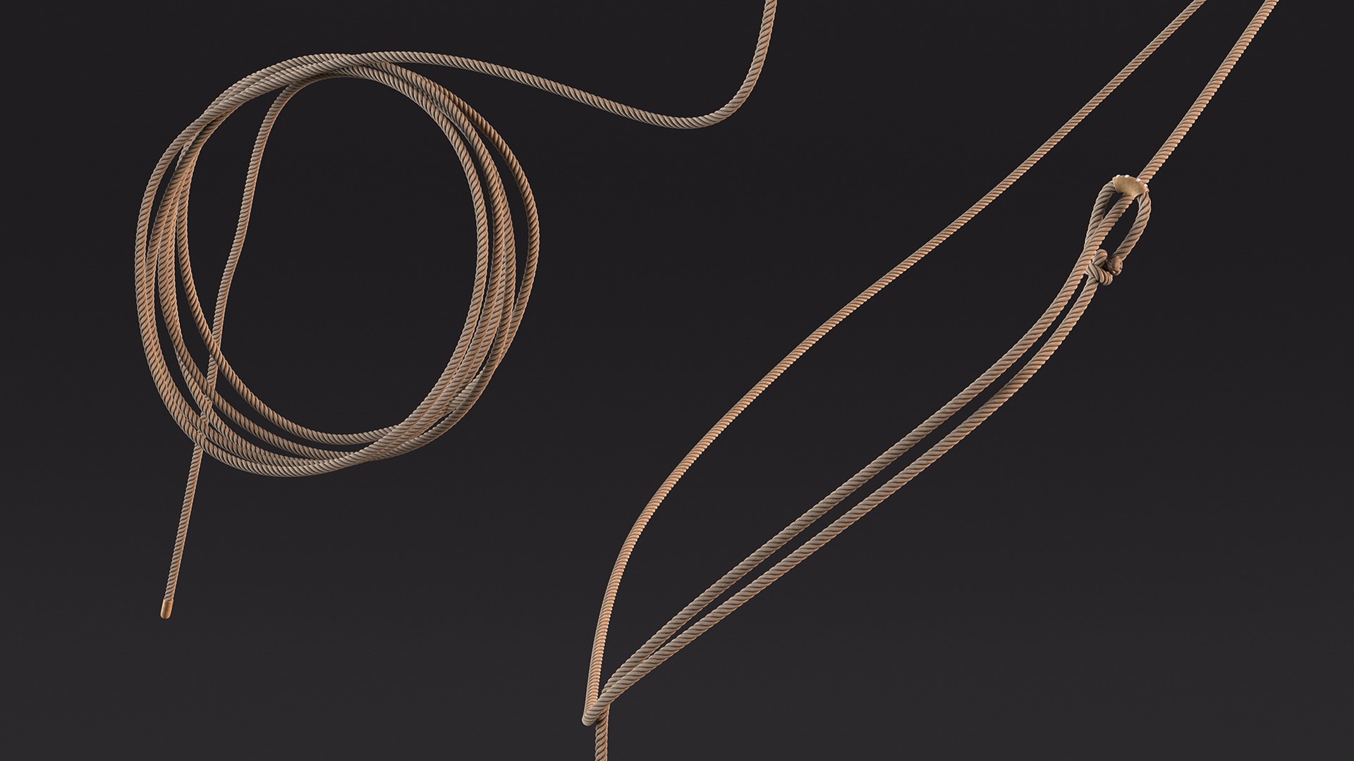 Western Lasso Rope Dynamic Position 3D - TurboSquid 2162341