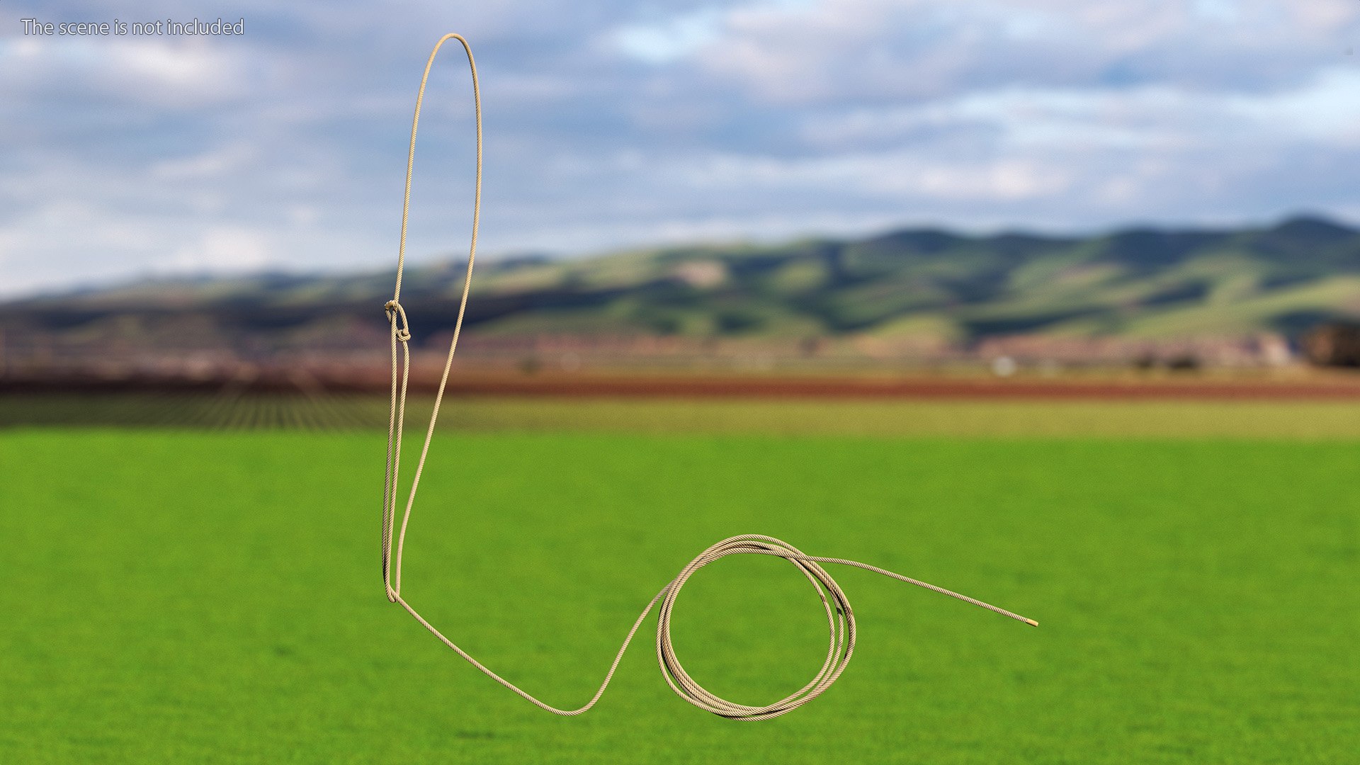 Western Lasso Rope Dynamic Position 3D - TurboSquid 2162341