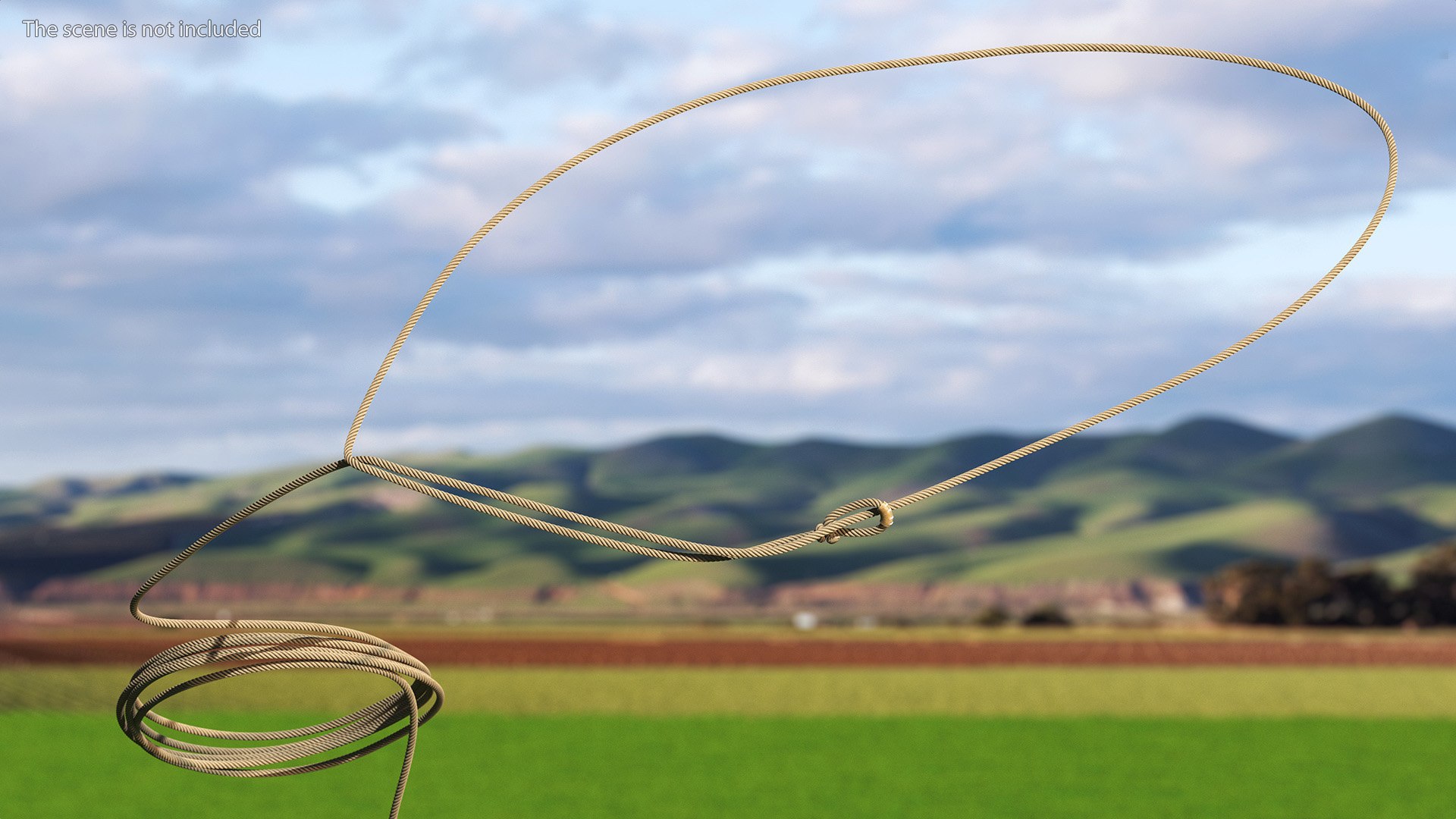 Western Lasso Rope Dynamic Position 3D - TurboSquid 2162341