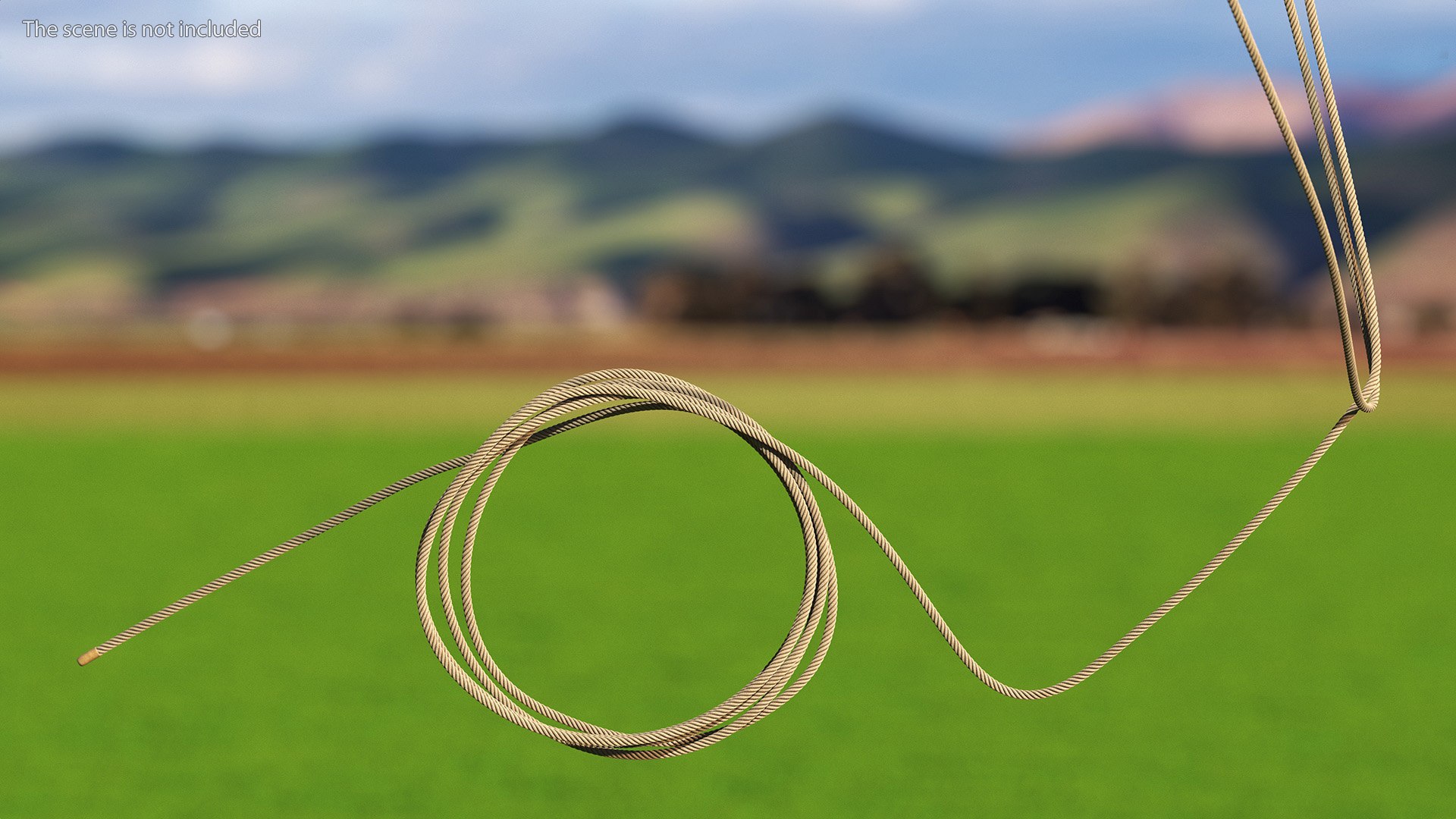 Western Lasso Rope Dynamic Position 3D - TurboSquid 2162341