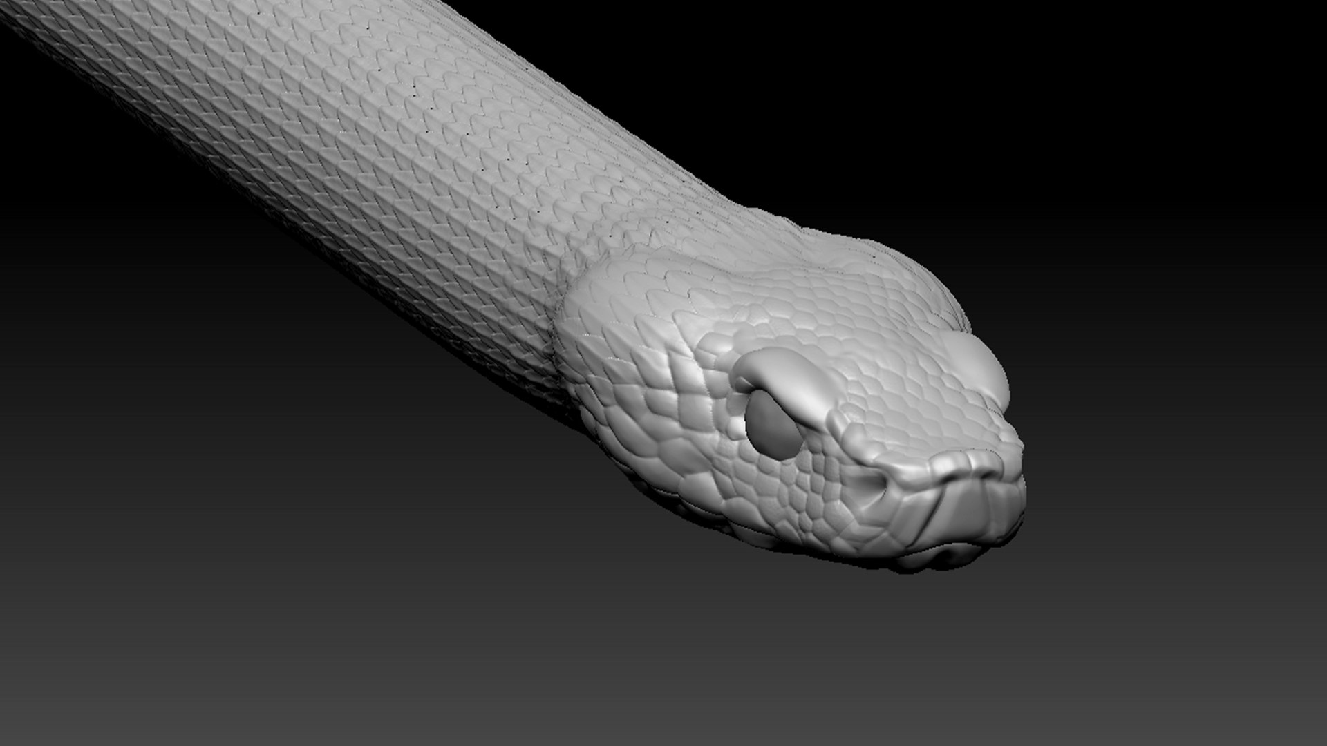 3D Asp Zbrush Model - TurboSquid 2369302