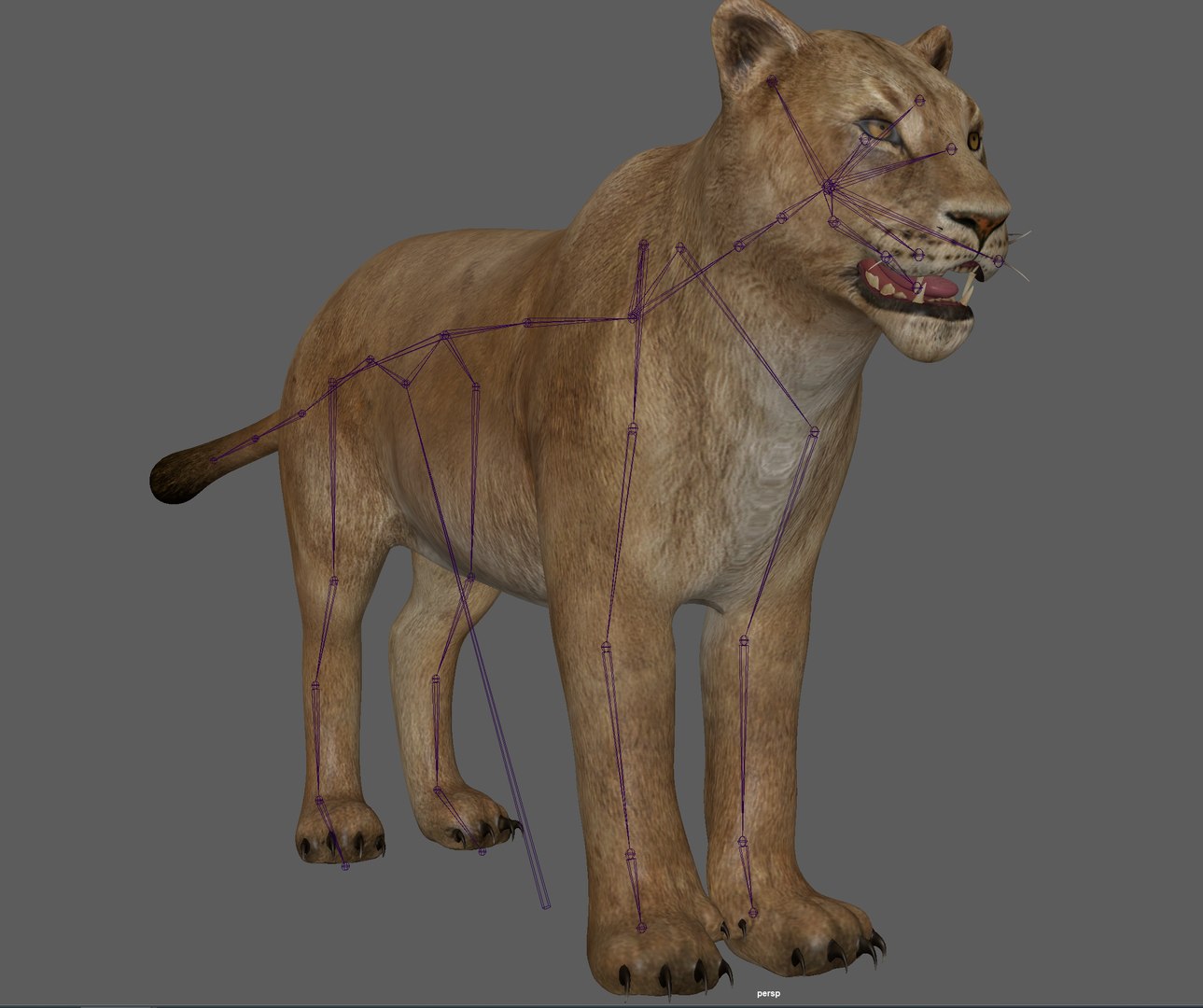 3D Model Lioness Rig Model - TurboSquid 1832780