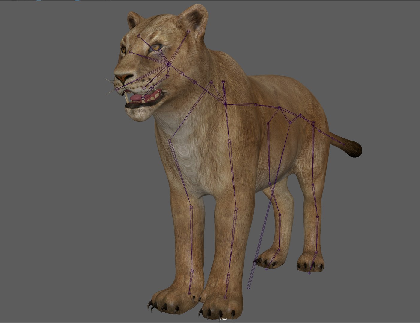 3D Model Lioness Rig Model - TurboSquid 1832780