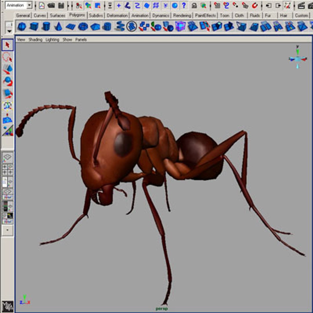 Maya Ant