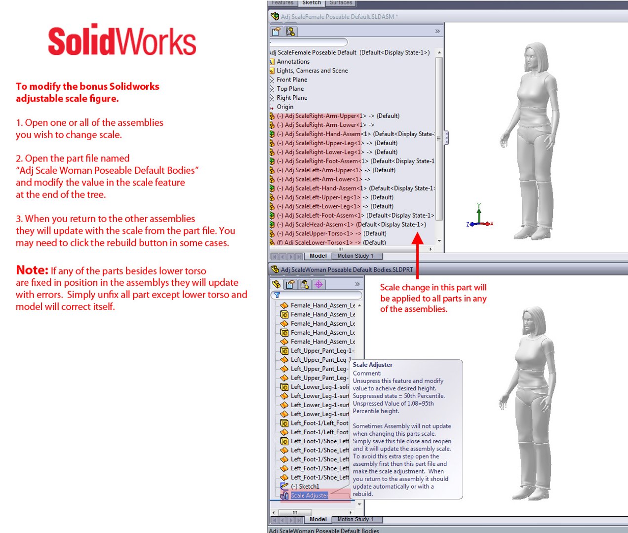 3dm Poseable Male Female Solidworks