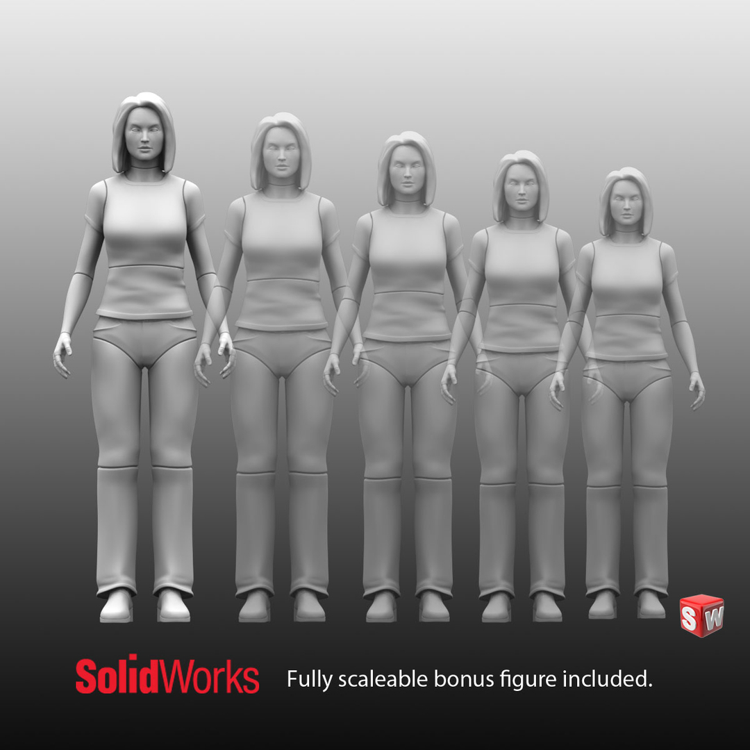 3dm poseable male female solidworks