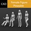 3dm Poseable Male Female Solidworks