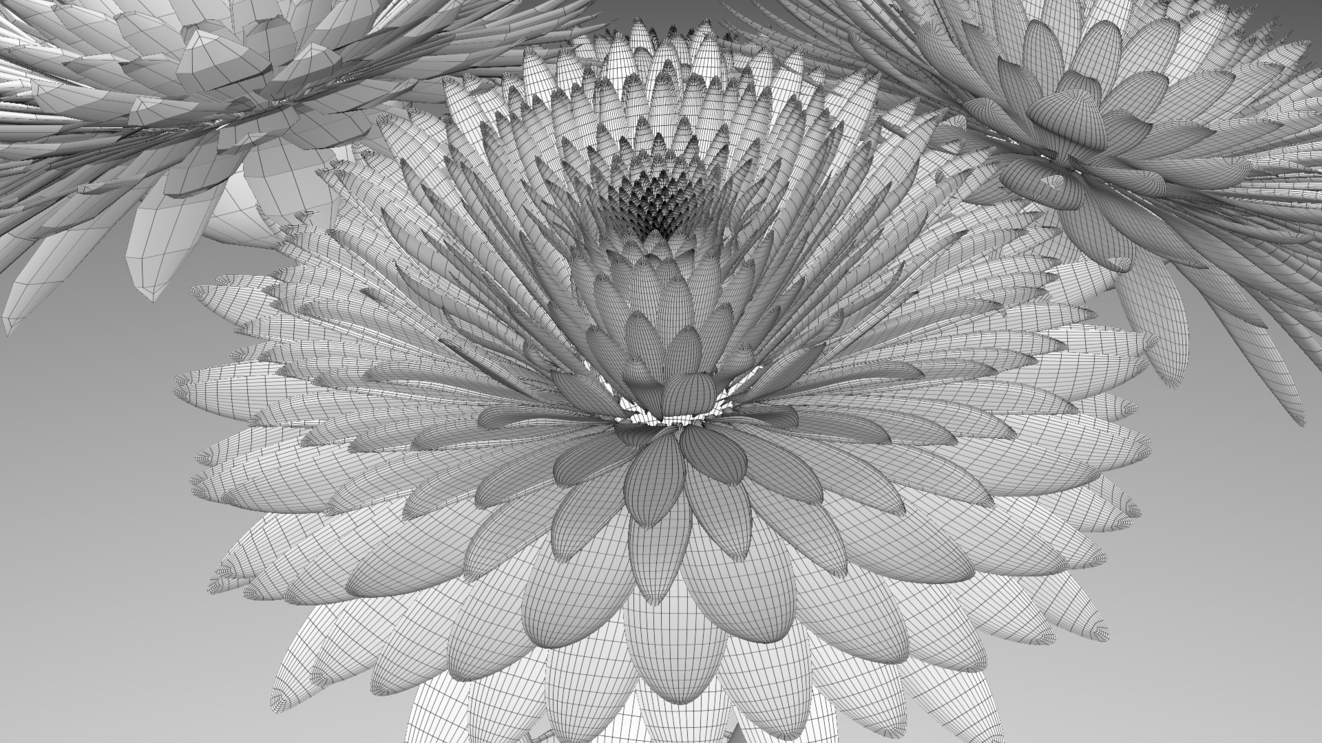 Flowers cushion chrysanthemim 3D model - TurboSquid 1618374