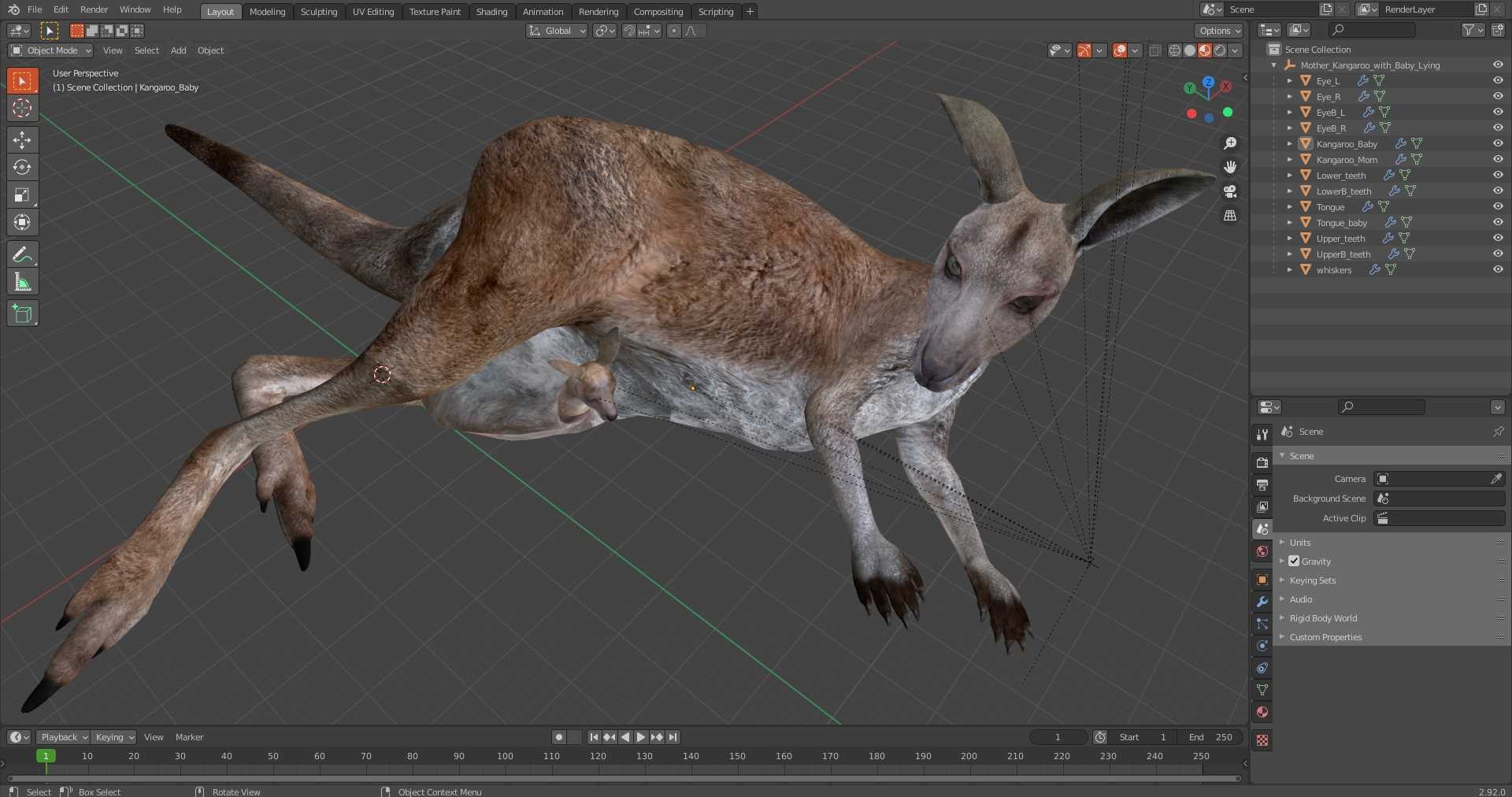 Mother Kangaroo With Baby Lying 3D - TurboSquid 2250728