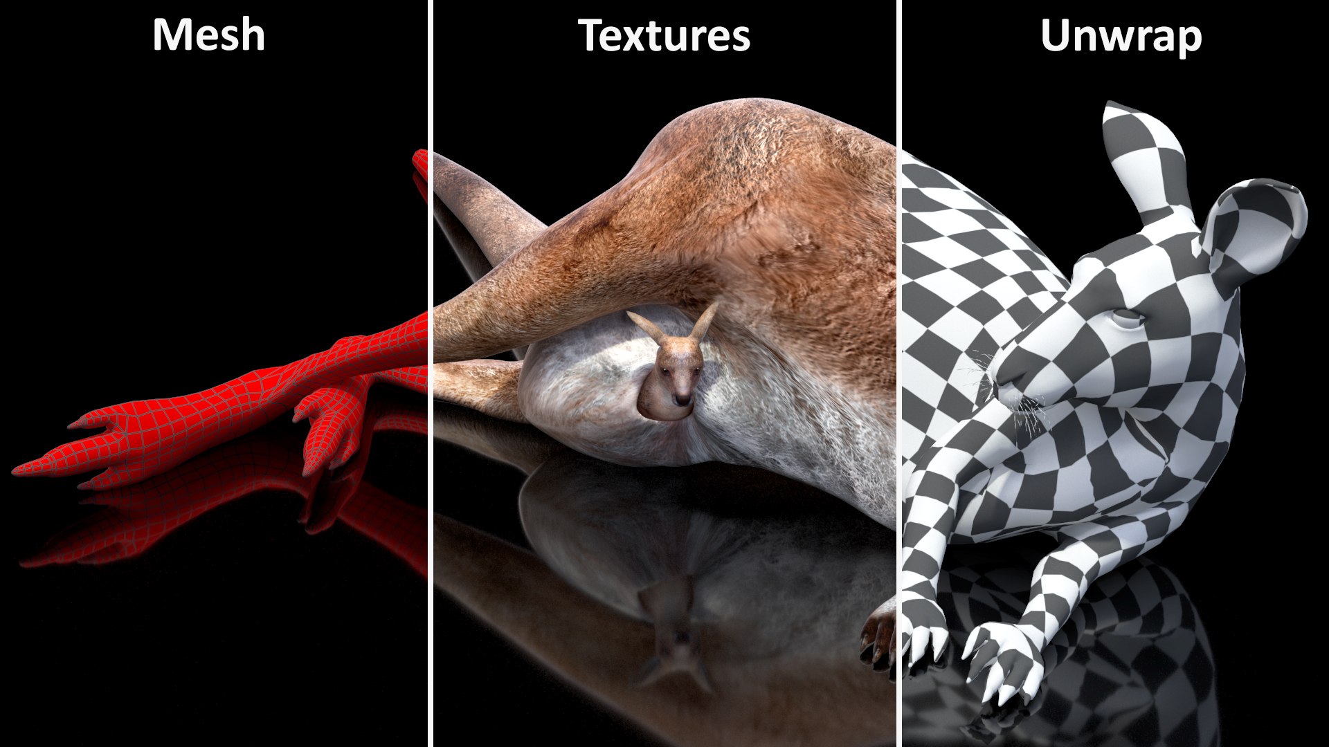 Mother Kangaroo With Baby Lying 3D - TurboSquid 2250728