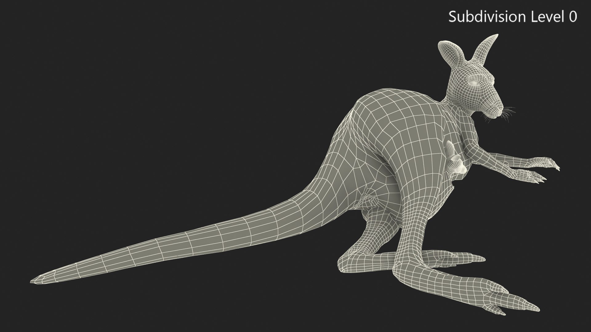 Mother Kangaroo With Baby Lying 3D - TurboSquid 2250728