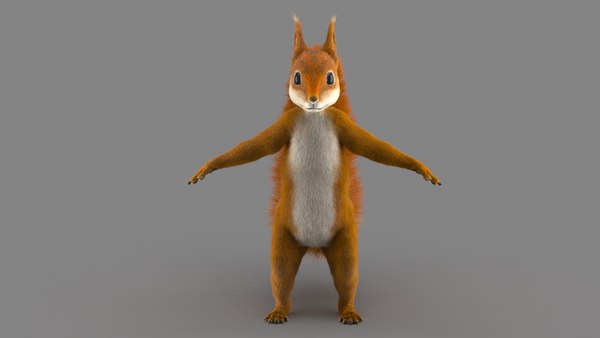 3D cartoon squirrel model - TurboSquid 1698275