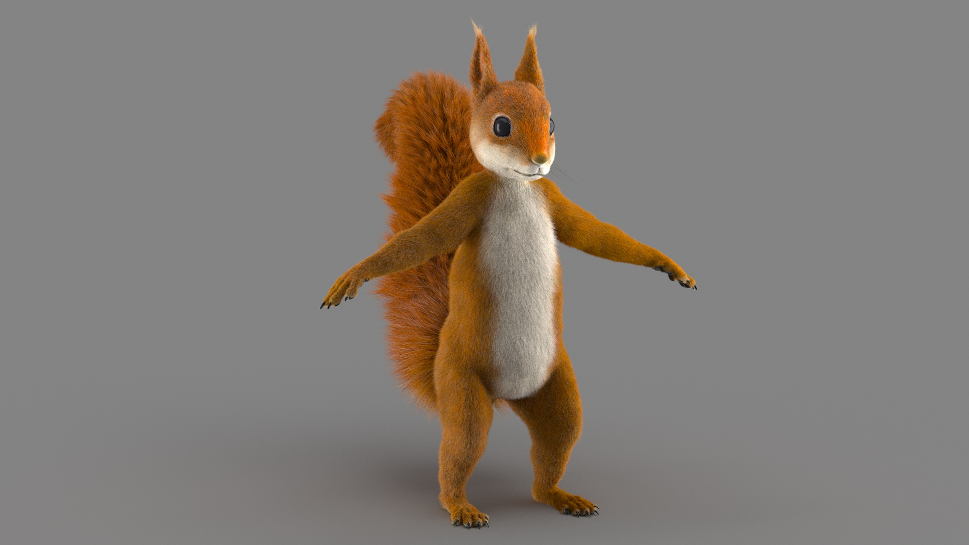 3D Cartoon Squirrel Model - TurboSquid 1698275
