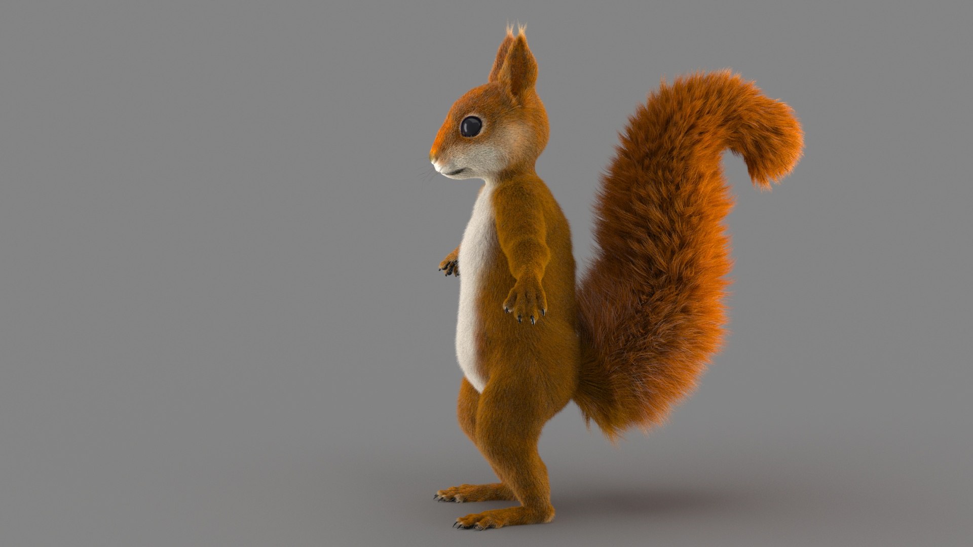 3D Cartoon Squirrel Model - TurboSquid 1698275