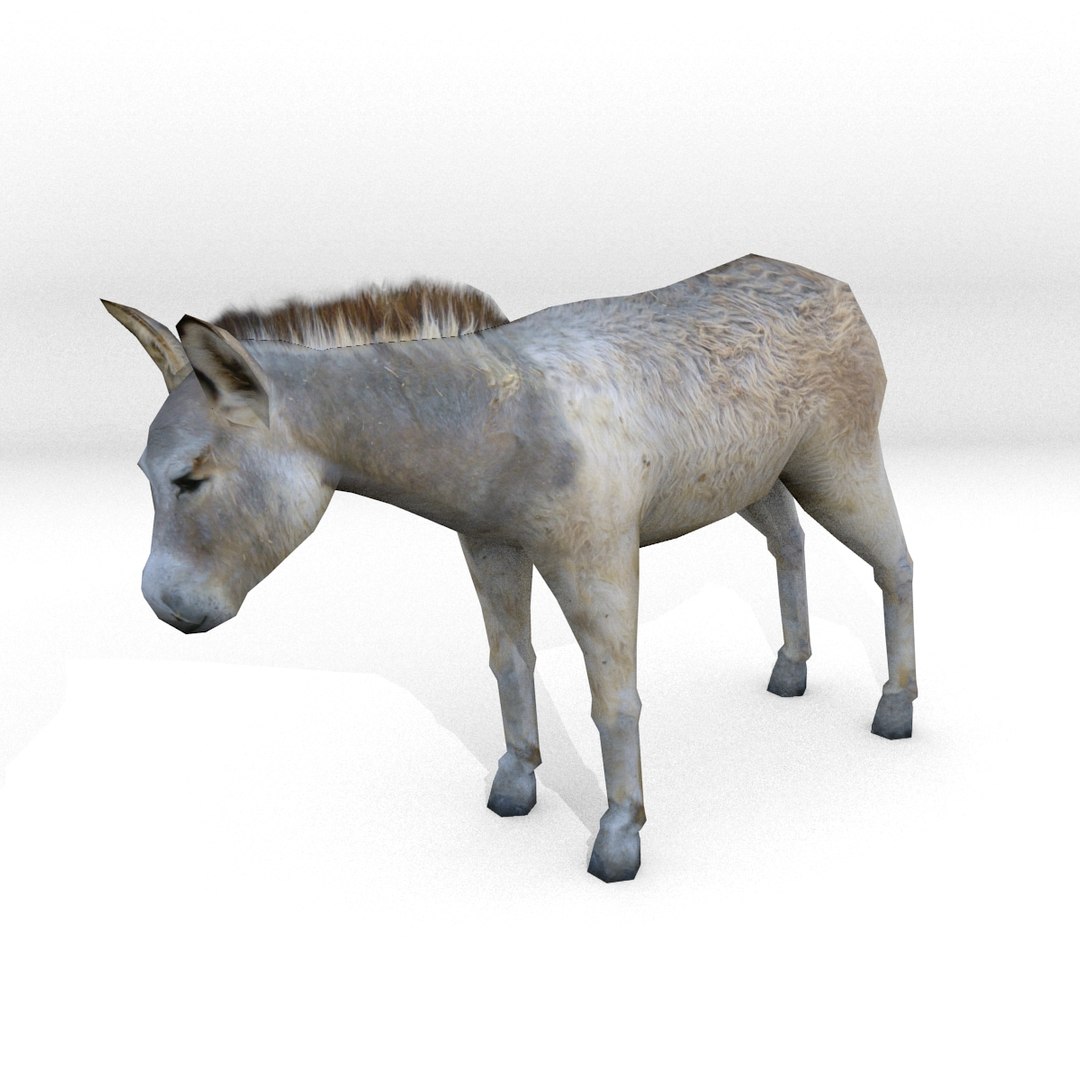 Low-poly Donkey 3d Model