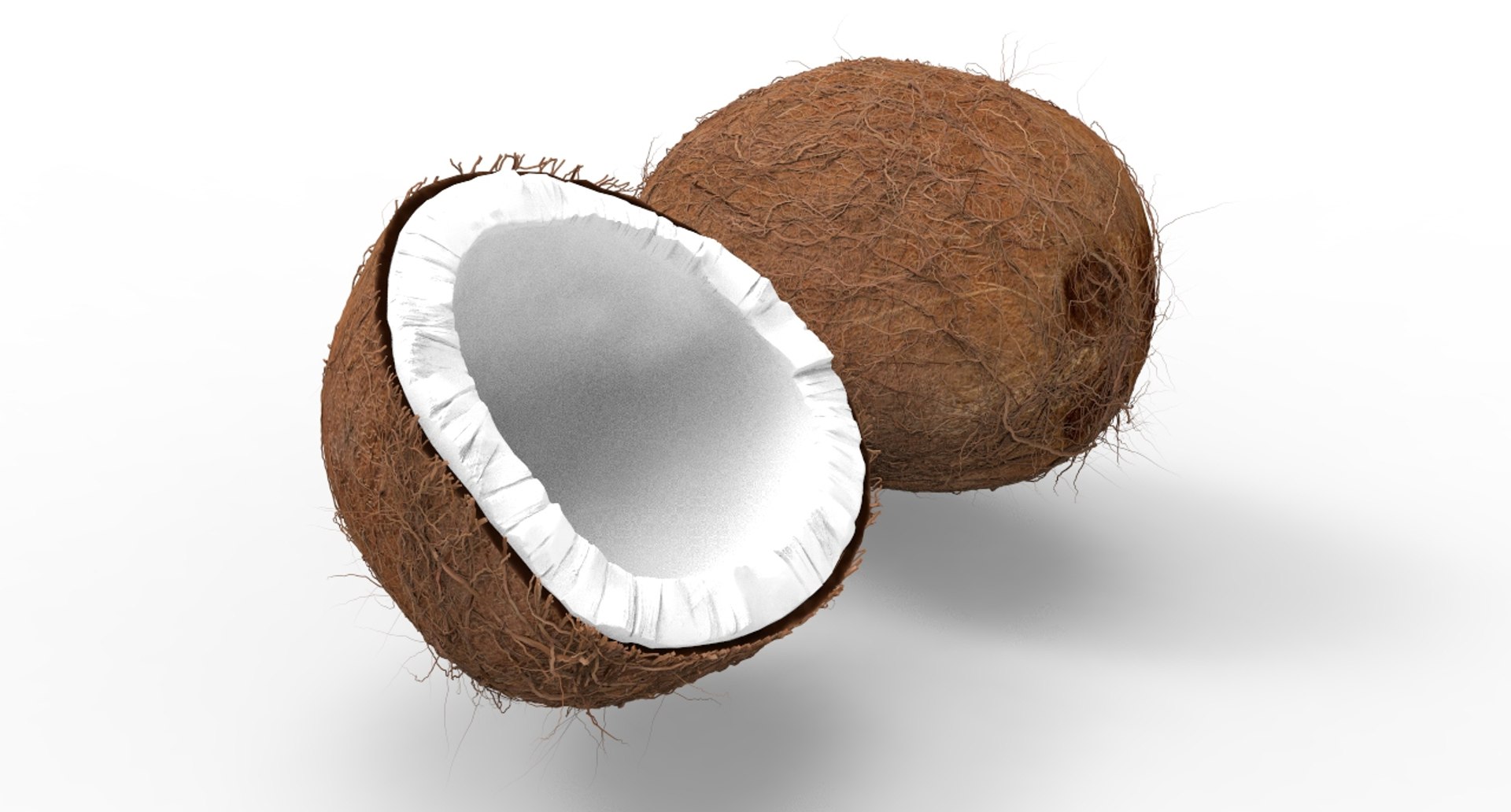 Coconut Nut Coco Model - TurboSquid 1532338