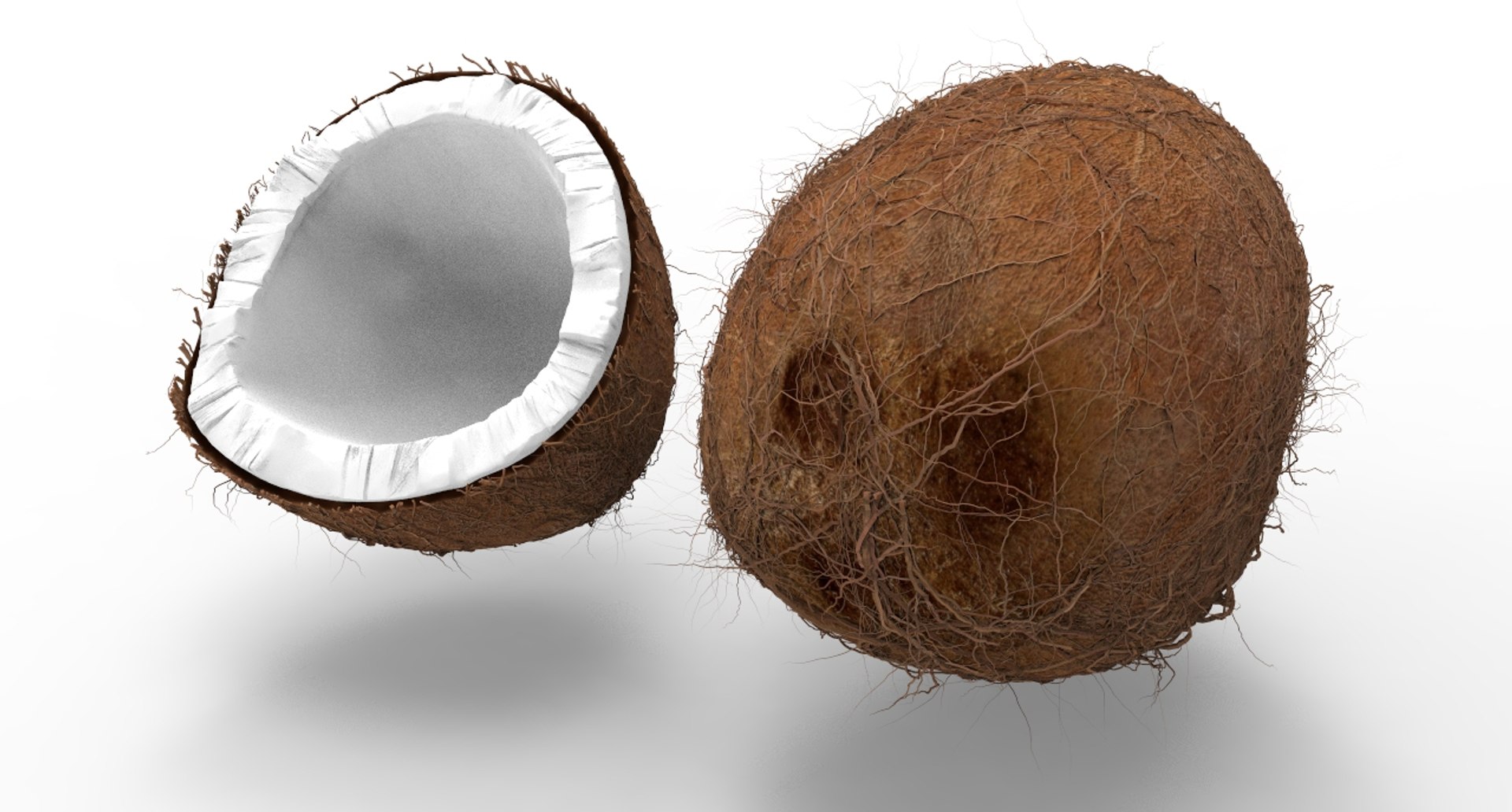 Coconut Nut Coco Model - TurboSquid 1532338