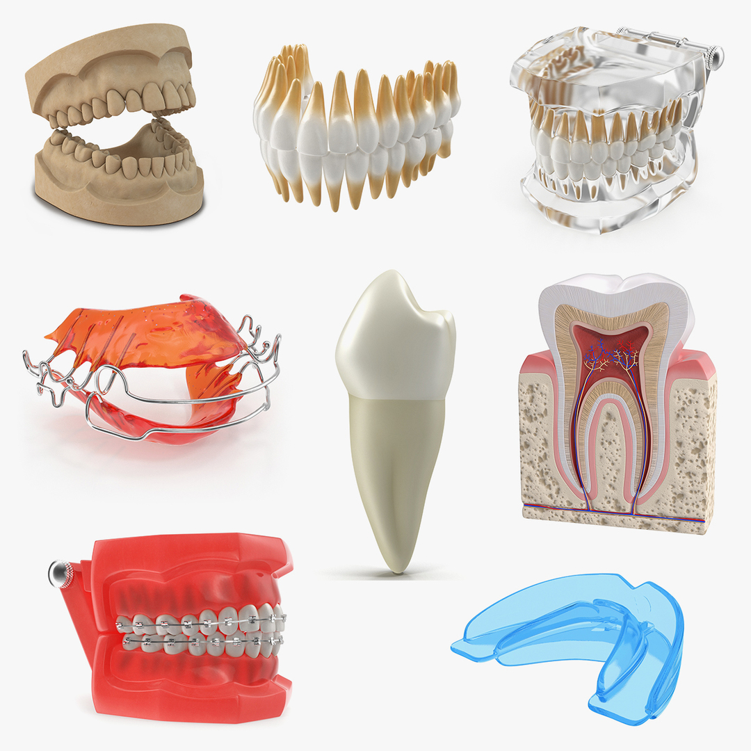Dental 3 3D - TurboSquid 1349431