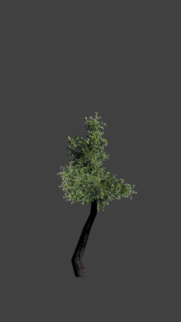 3d Pine Trees Model
