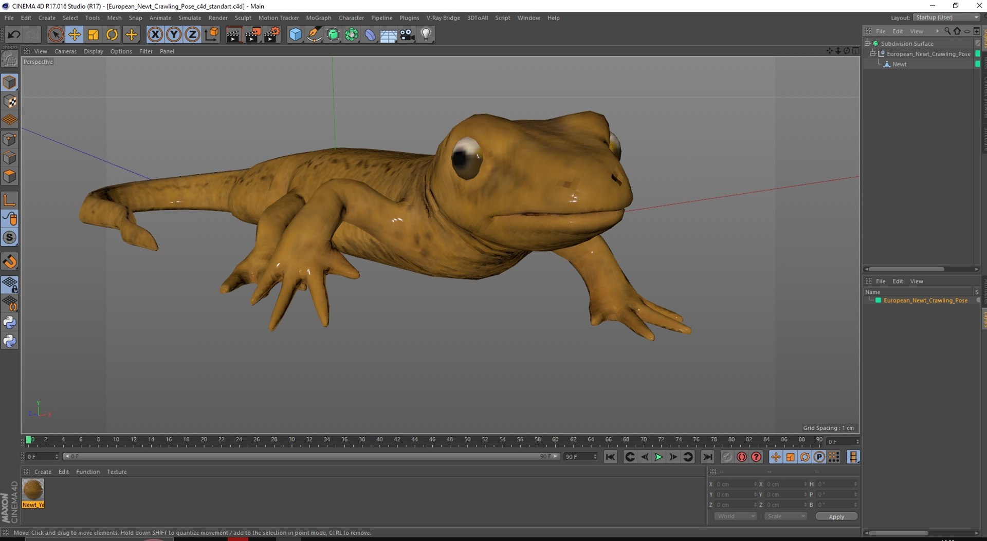 3D Model European Newt Crawling Pose - TurboSquid 2144110