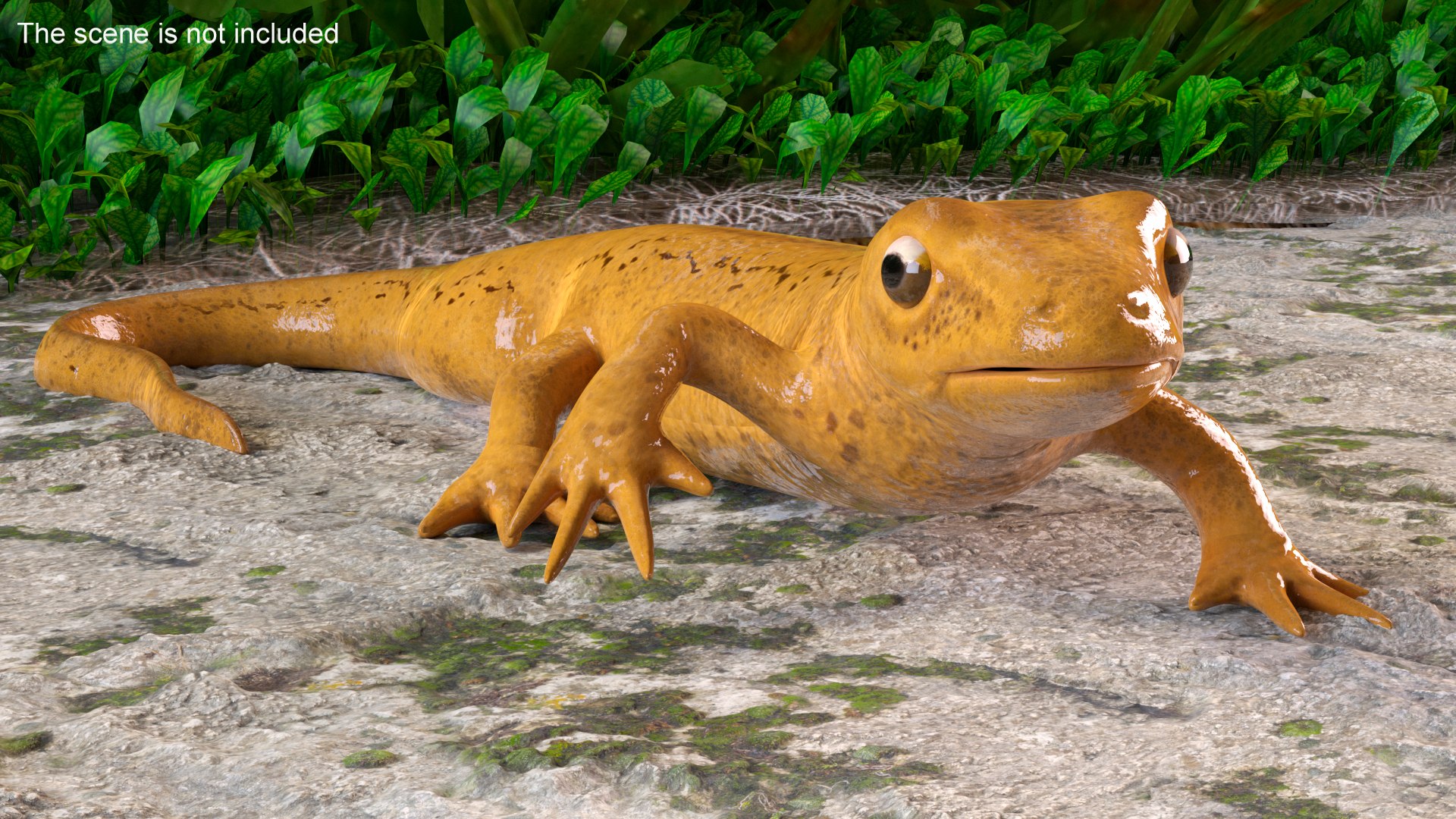 3D Model European Newt Crawling Pose - TurboSquid 2144110