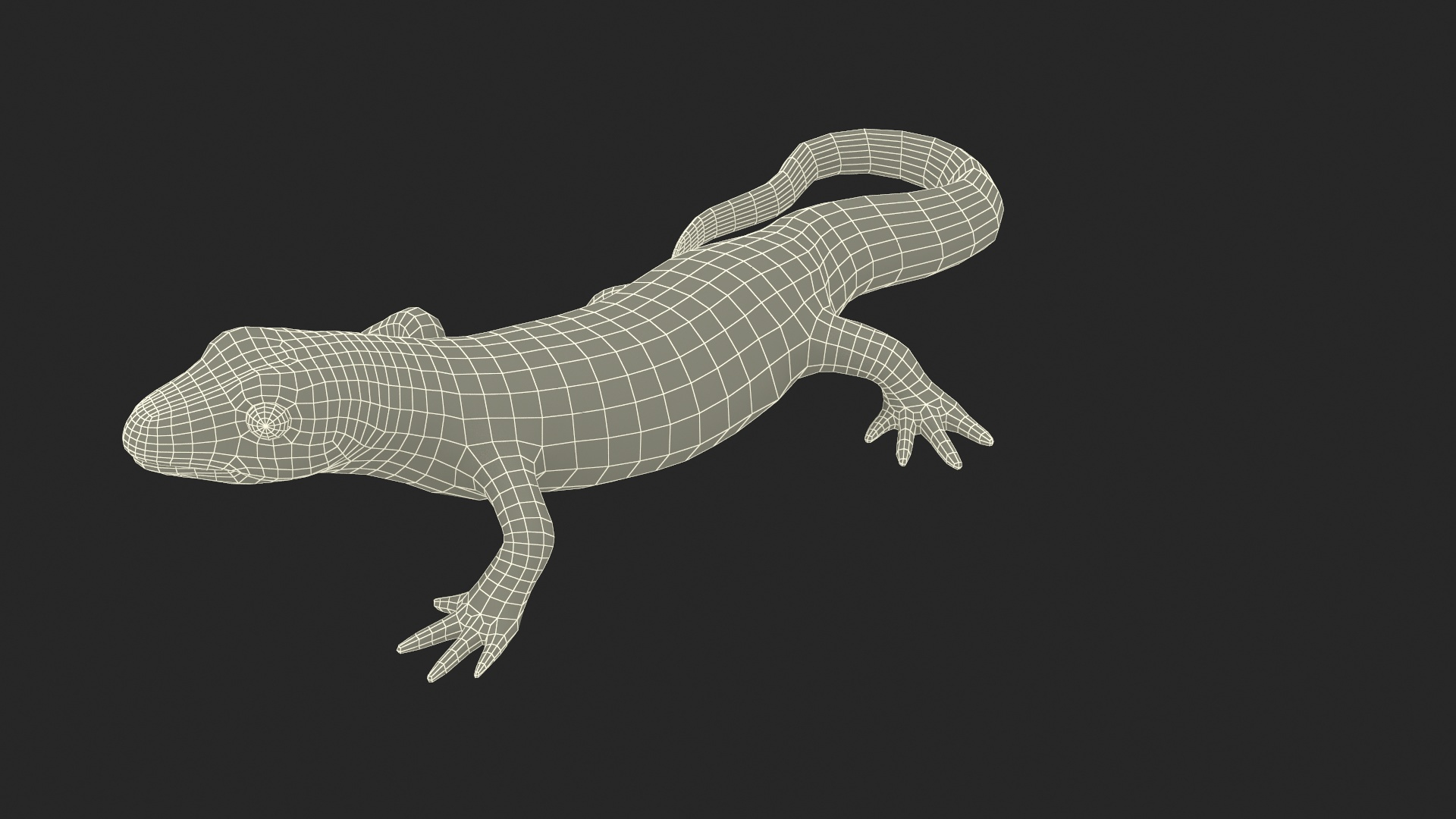 3D Model European Newt Crawling Pose - TurboSquid 2144110