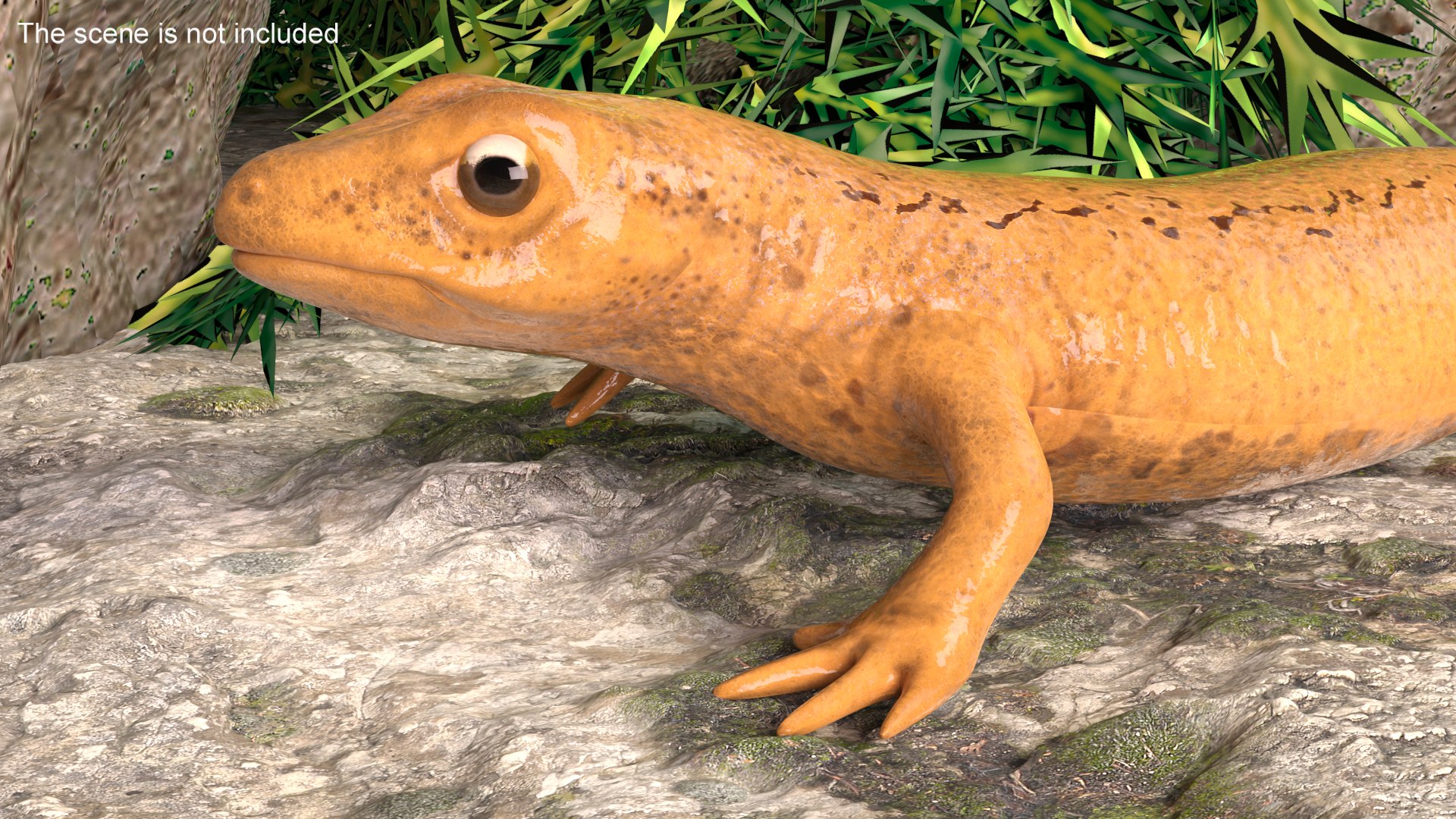 3D Model European Newt Crawling Pose - TurboSquid 2144110