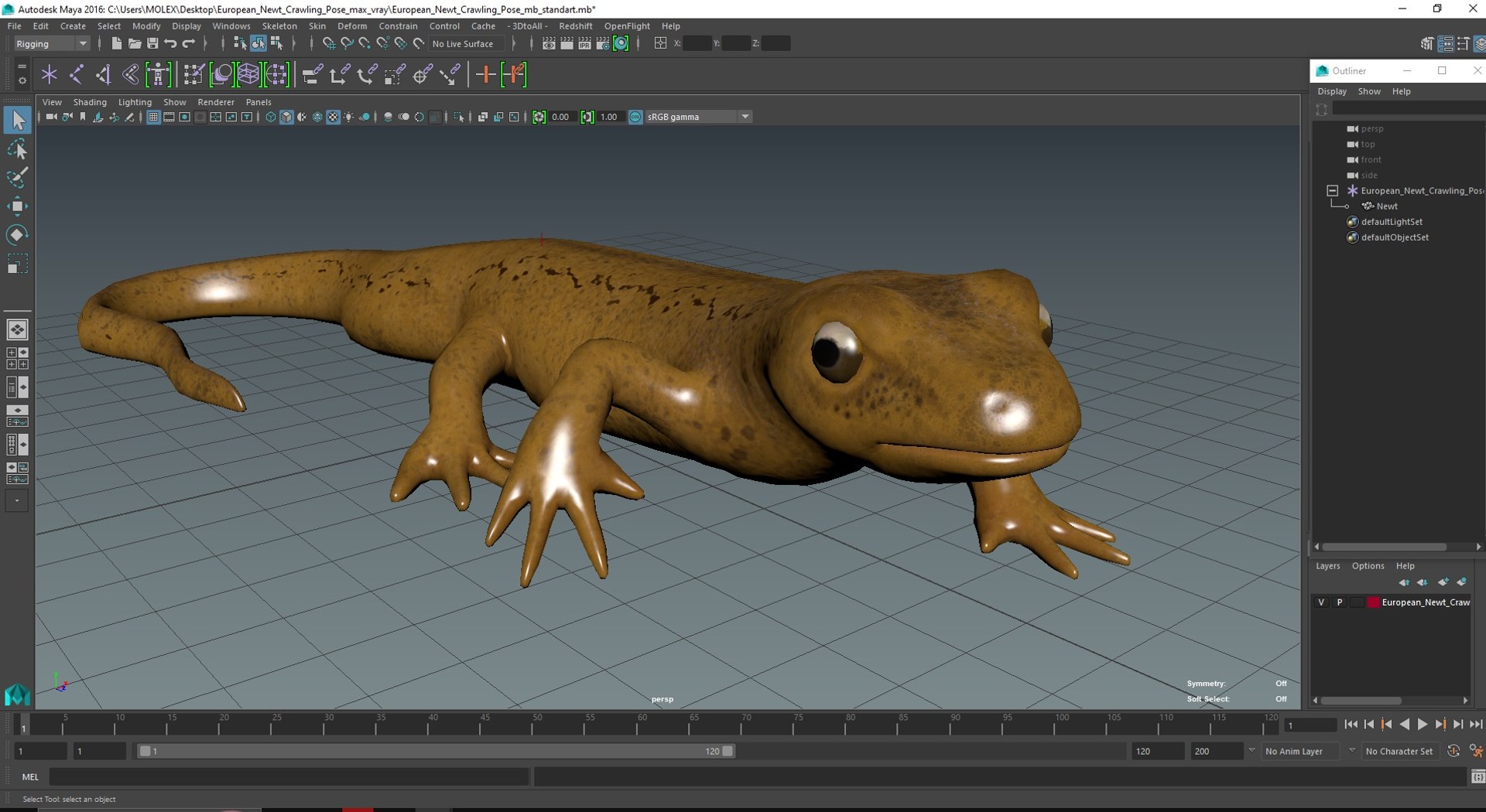 3D Model European Newt Crawling Pose - TurboSquid 2144110