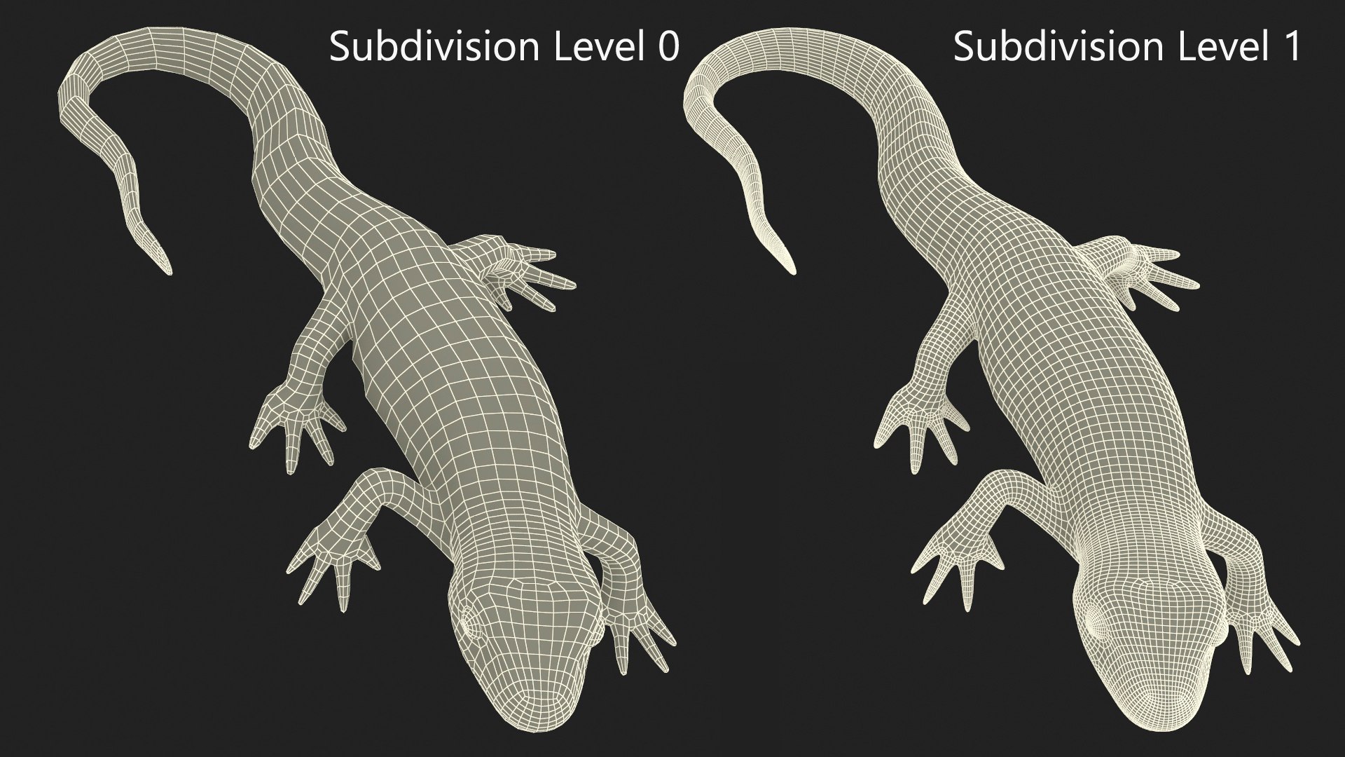 3D Model European Newt Crawling Pose - TurboSquid 2144110