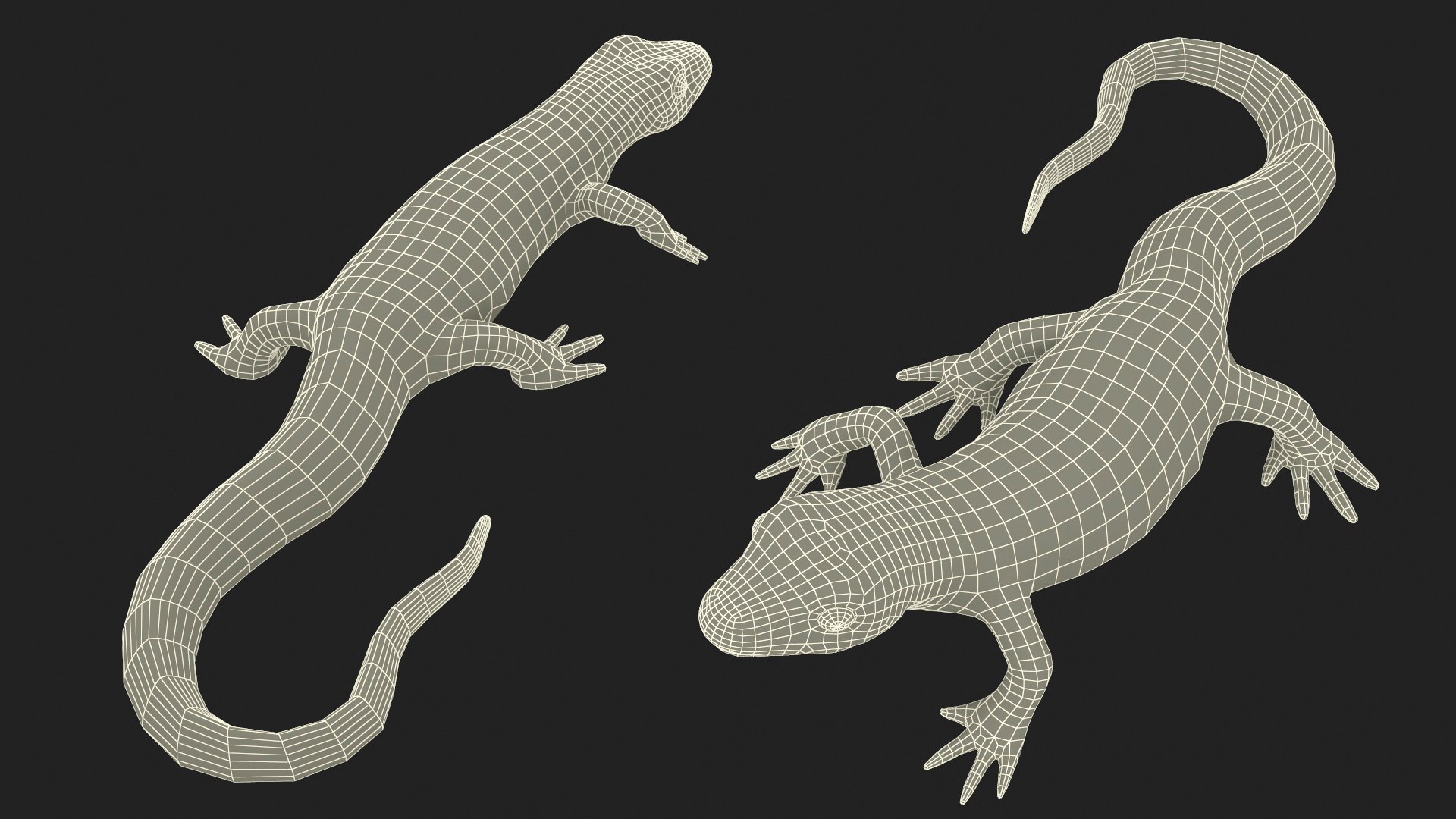 3D model European Newt Crawling Pose - TurboSquid 2144110