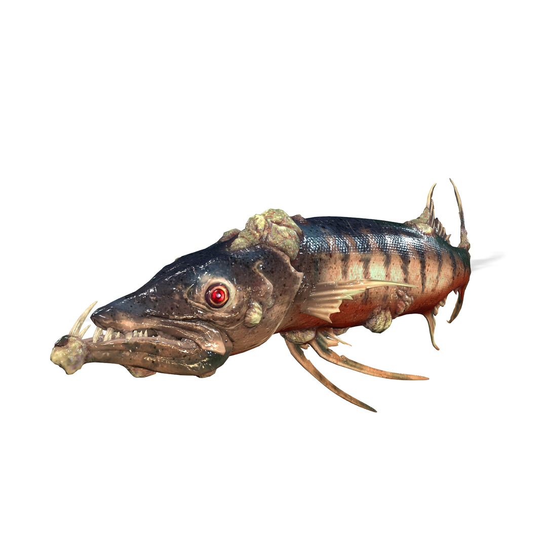 3D Model BARRACUDA FISH ANIMAL SEA - TurboSquid 2210925