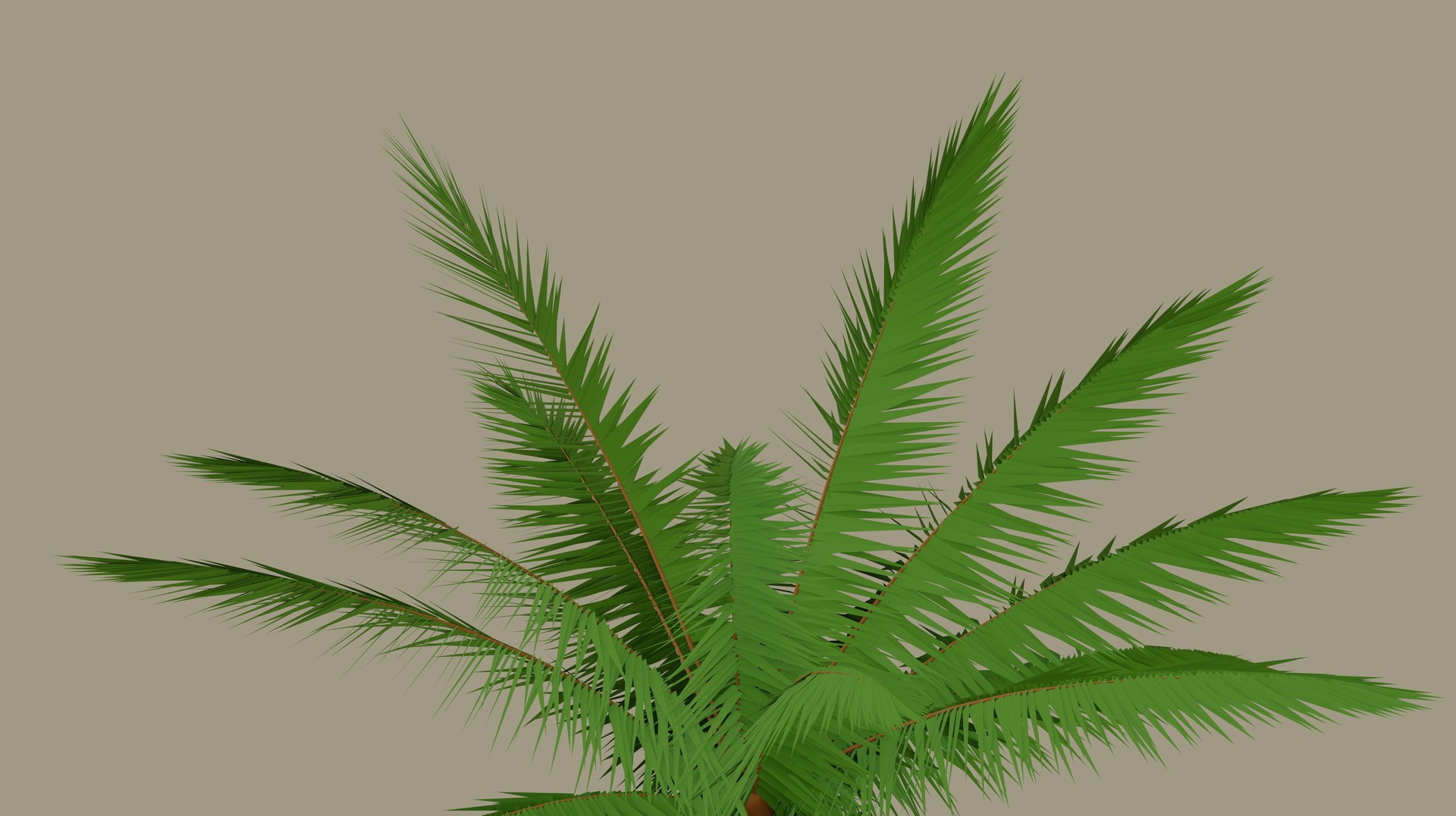 Palm Tree 3D Model - TurboSquid 2132210