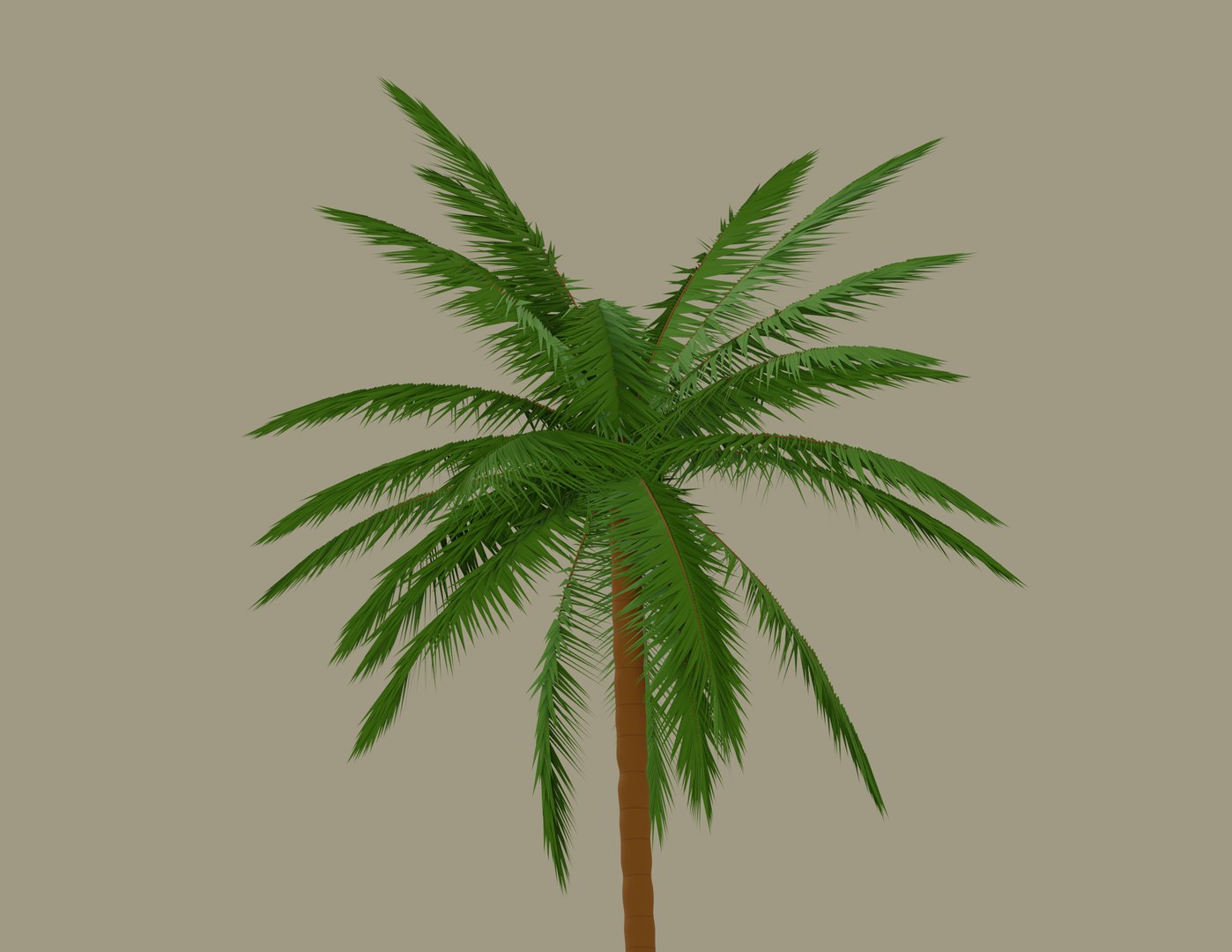 Palm Tree 3D Model - TurboSquid 2132210