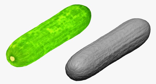 modelo 3d Vegetables Collection 06 - 10 modelos RAW Scans - TurboSquid ...