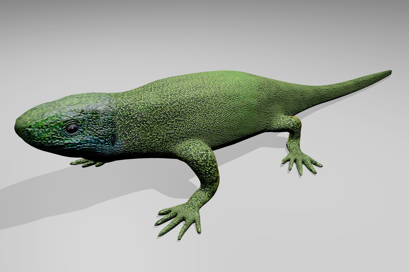 3d model green lizard