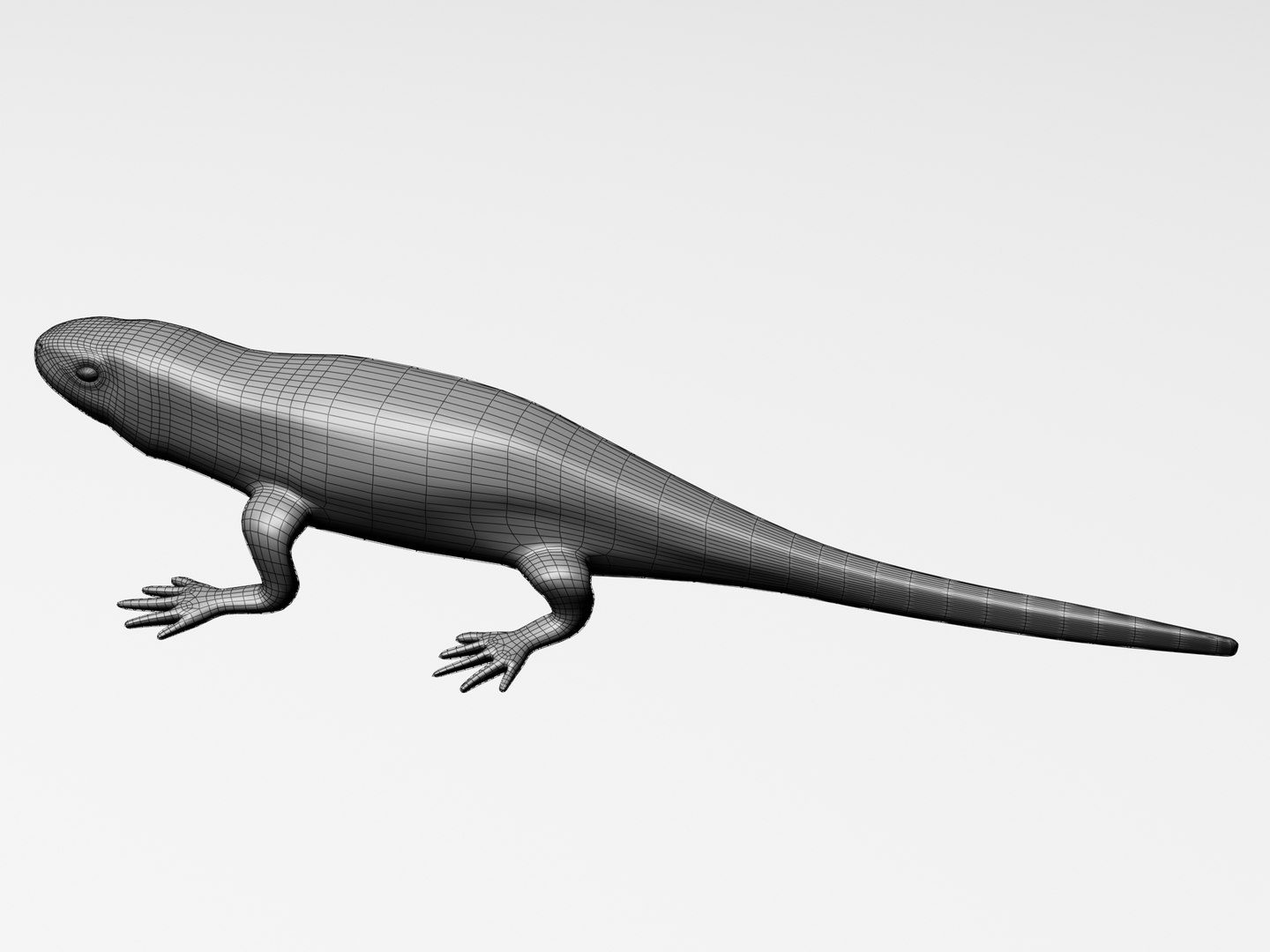 3d model green lizard