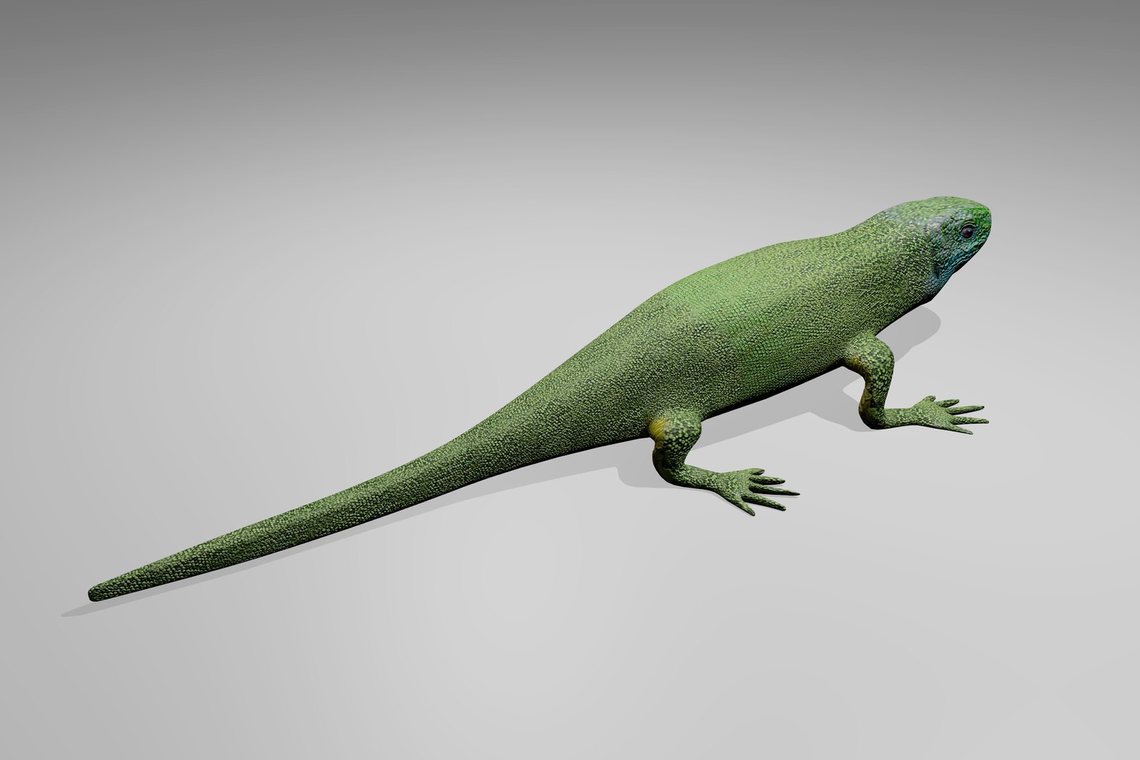 3d model green lizard