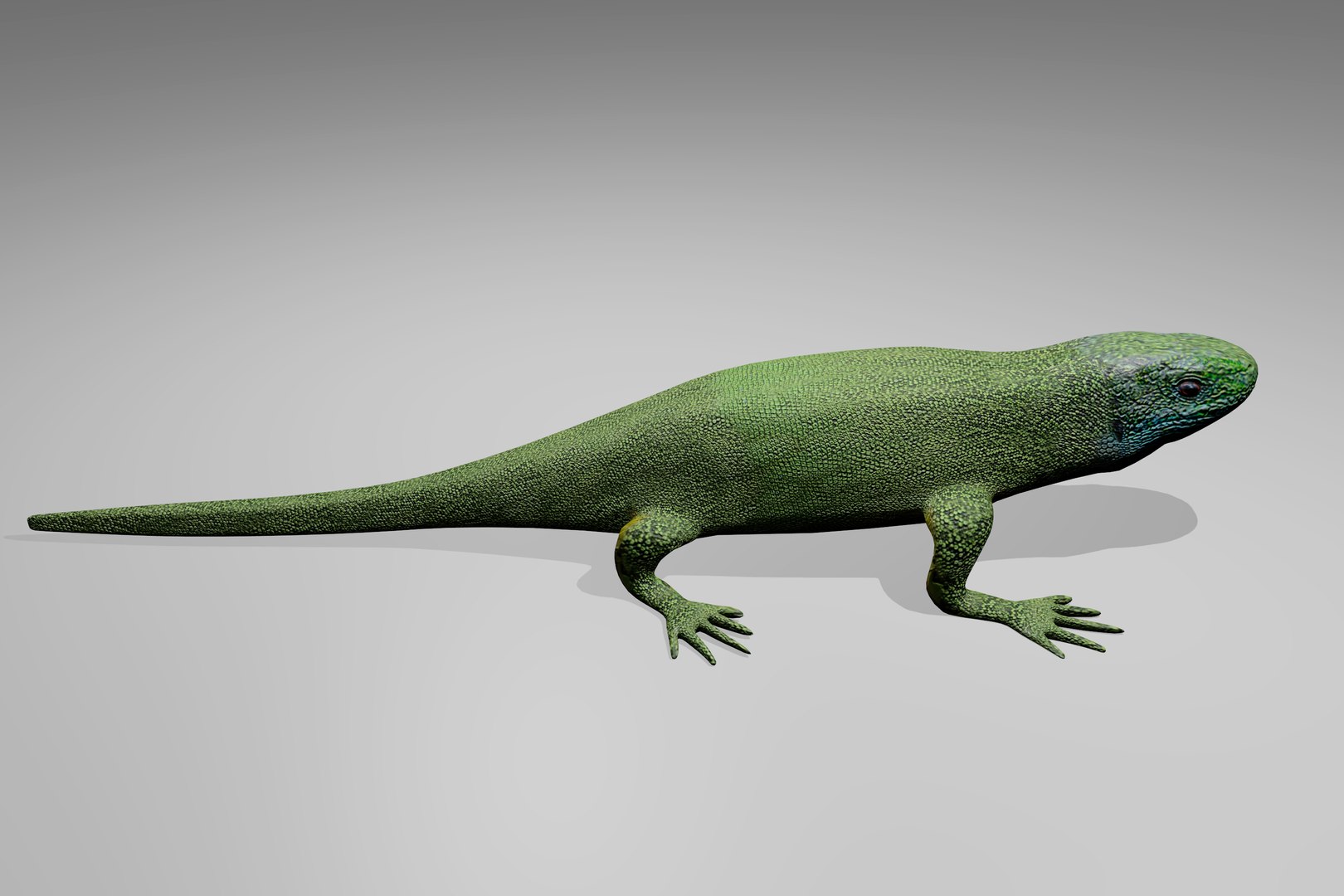 3d model green lizard