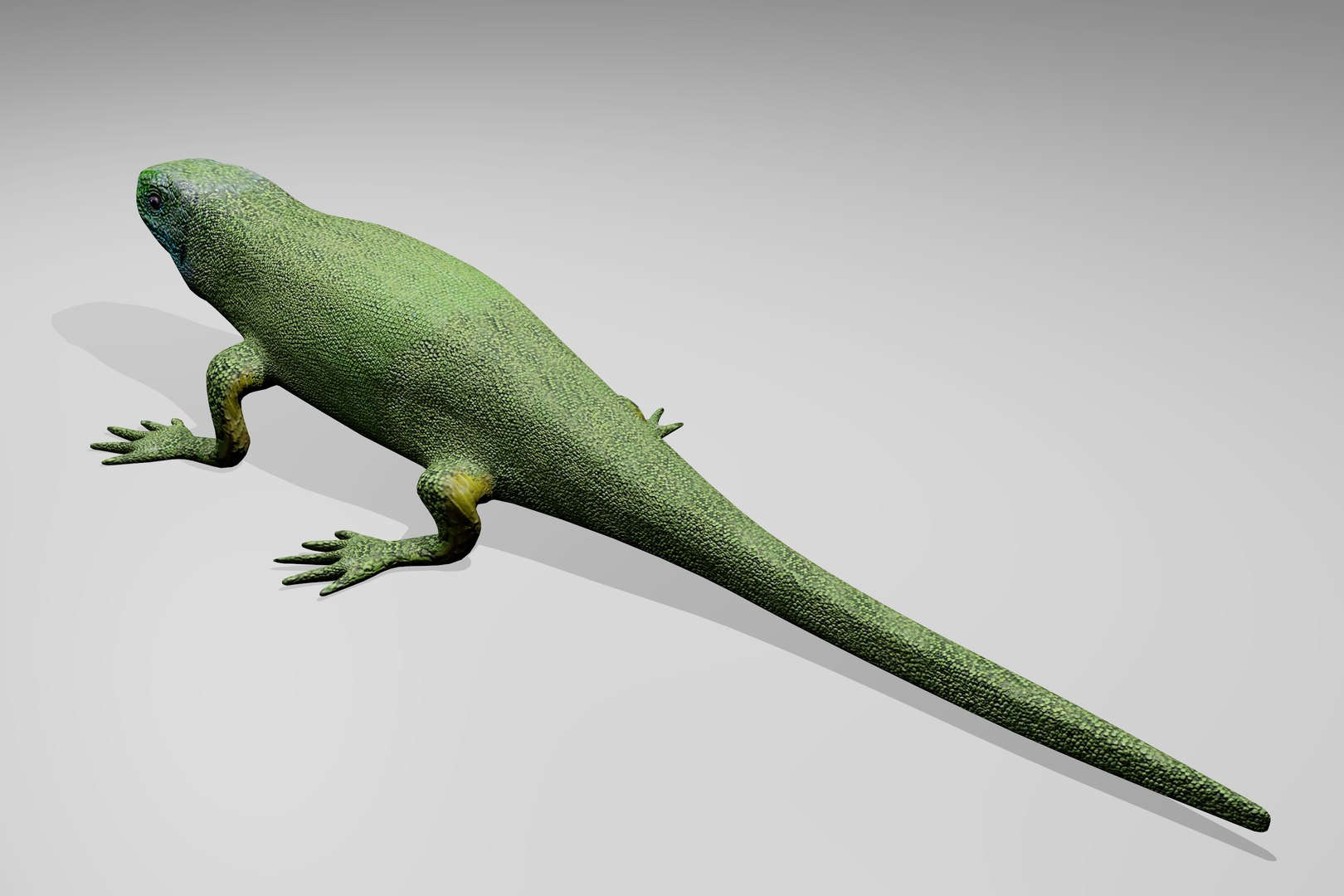 3d model green lizard