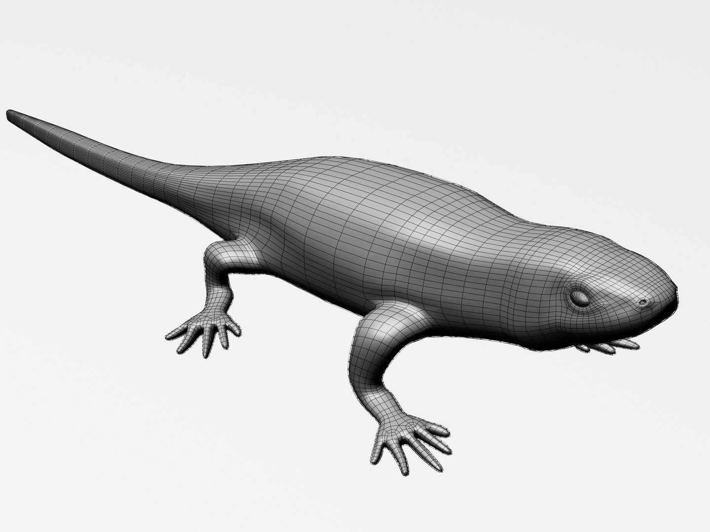 3d model green lizard