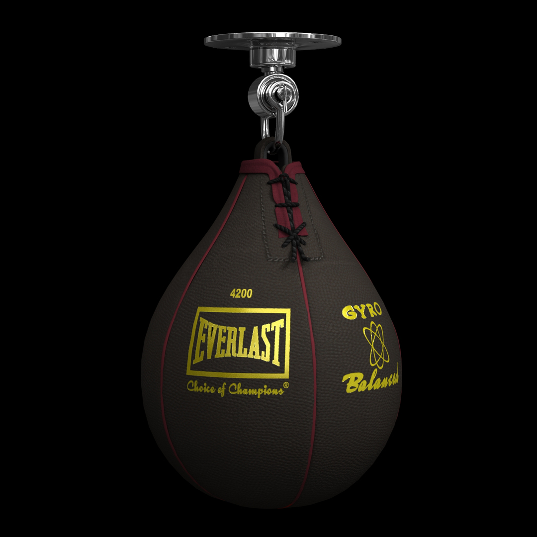 3d Boxing Speed Bag