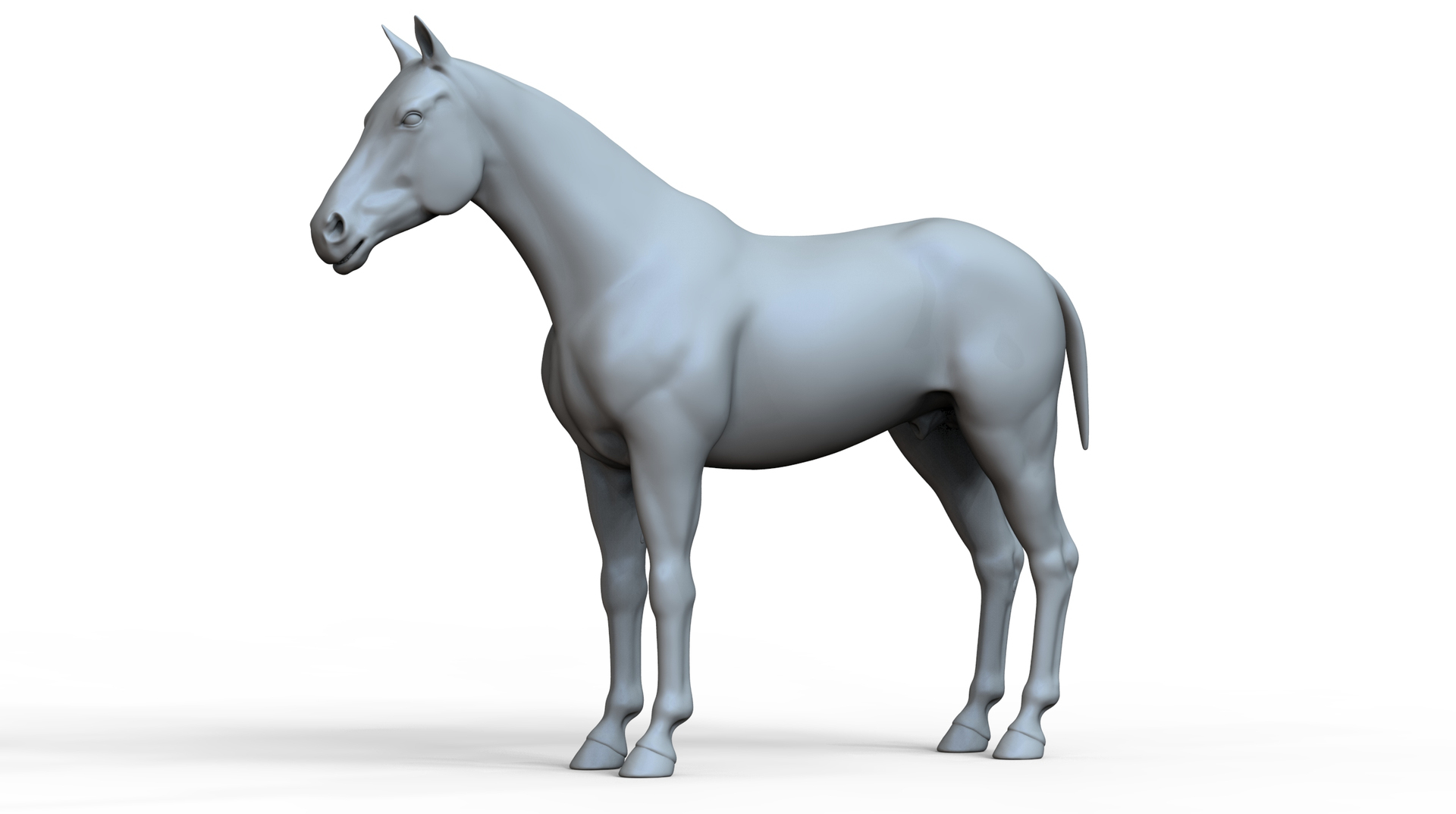 Zbrush Horse Base Mesh 3D Model - TurboSquid 1396804