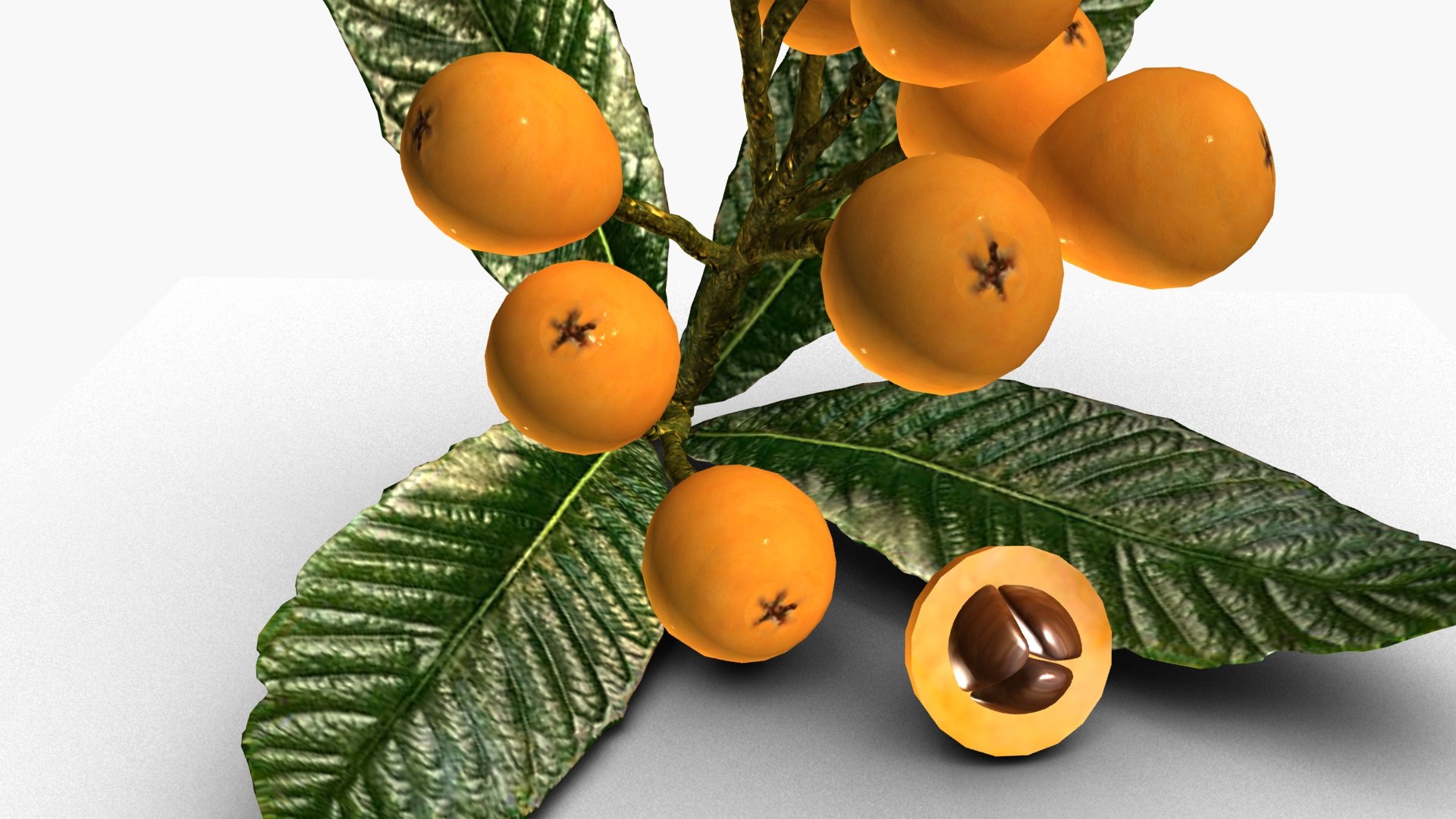 3D Loquat Fruit Model - TurboSquid 2297619